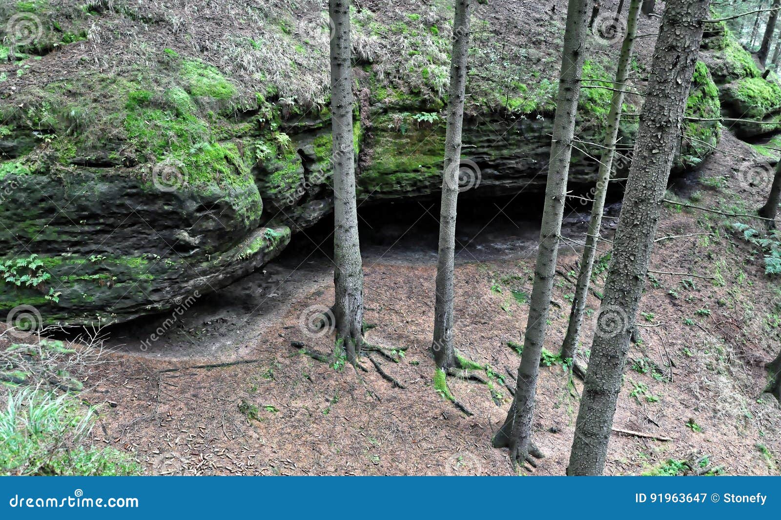 Full side view of the rock stock image. Image of brown - 91963647