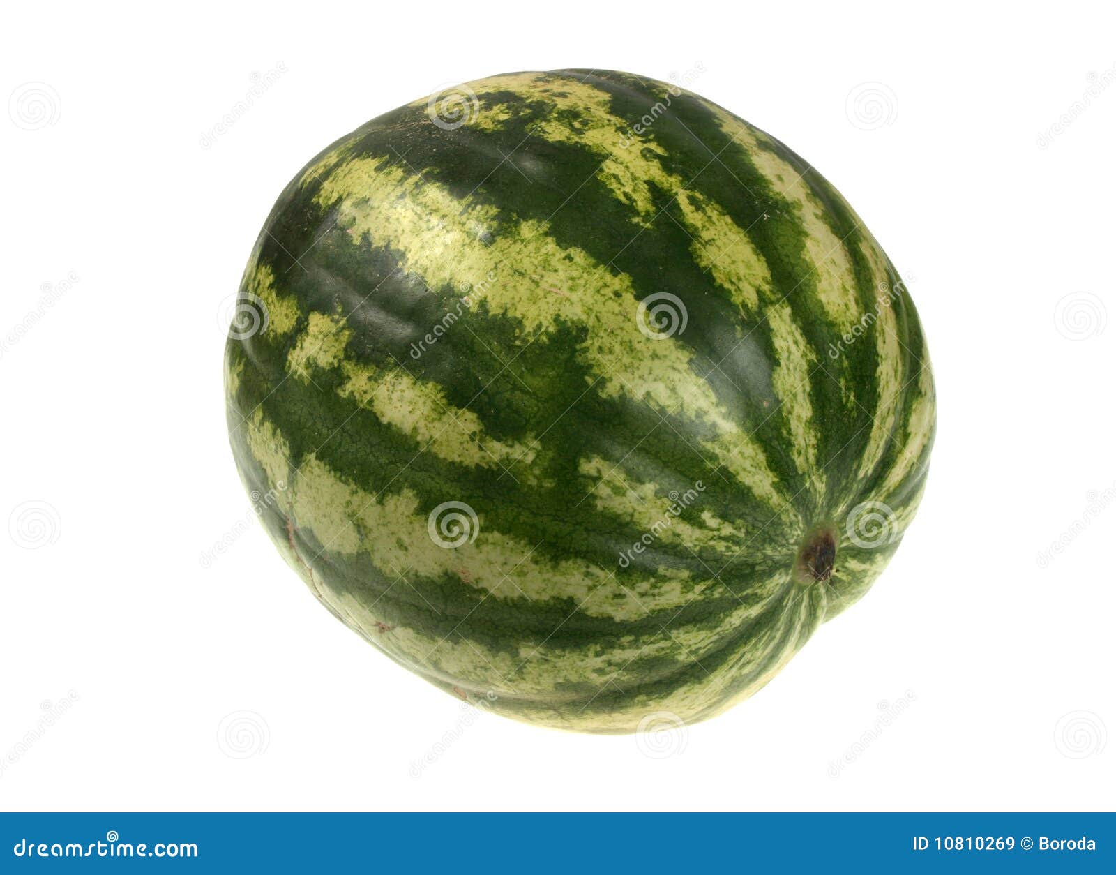 Full Single Striped Green Watermelon. Stock Image - Image of background ...