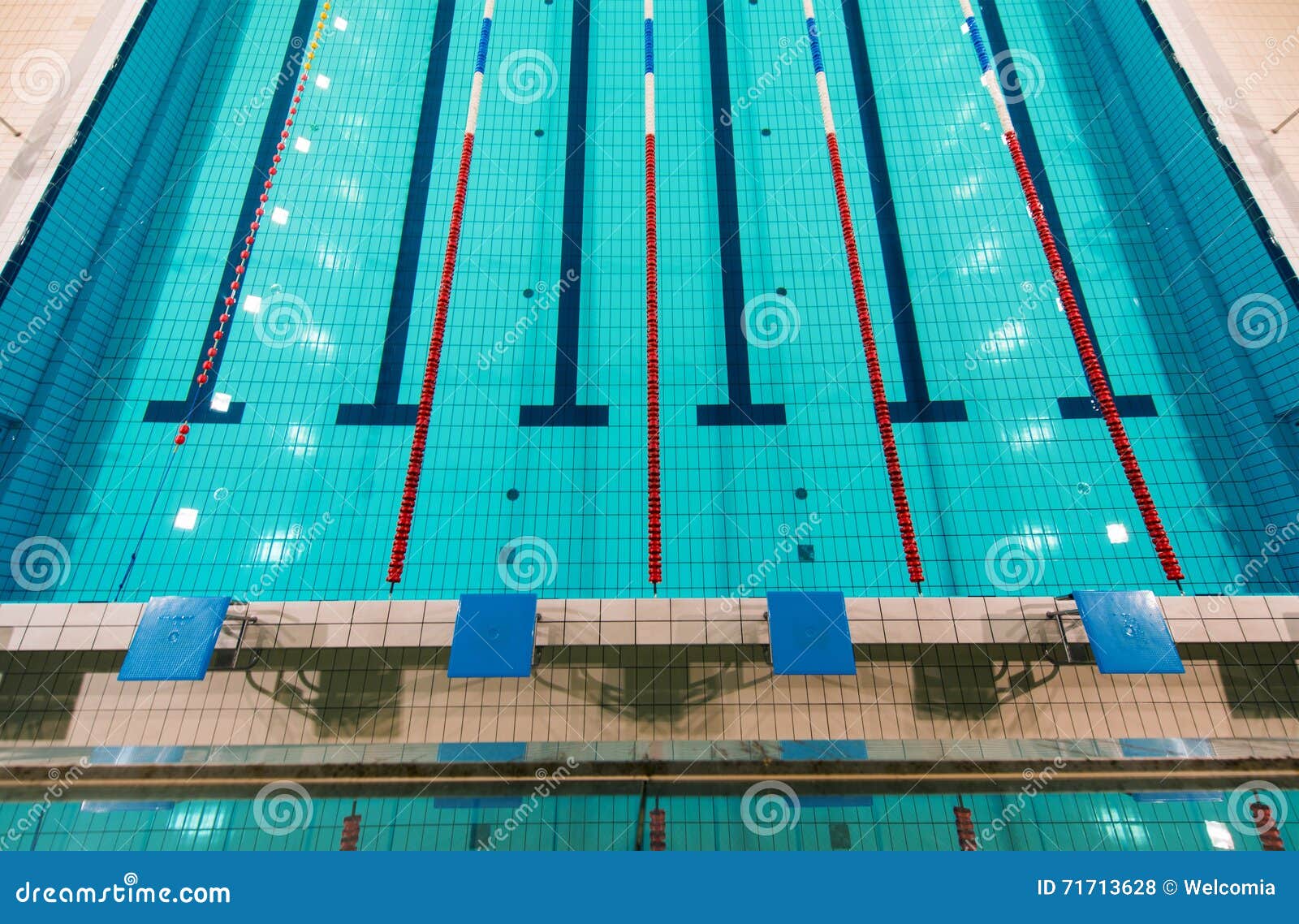 Full Size Swimming Pool stock photo. Image of lane, ladder - 71713628