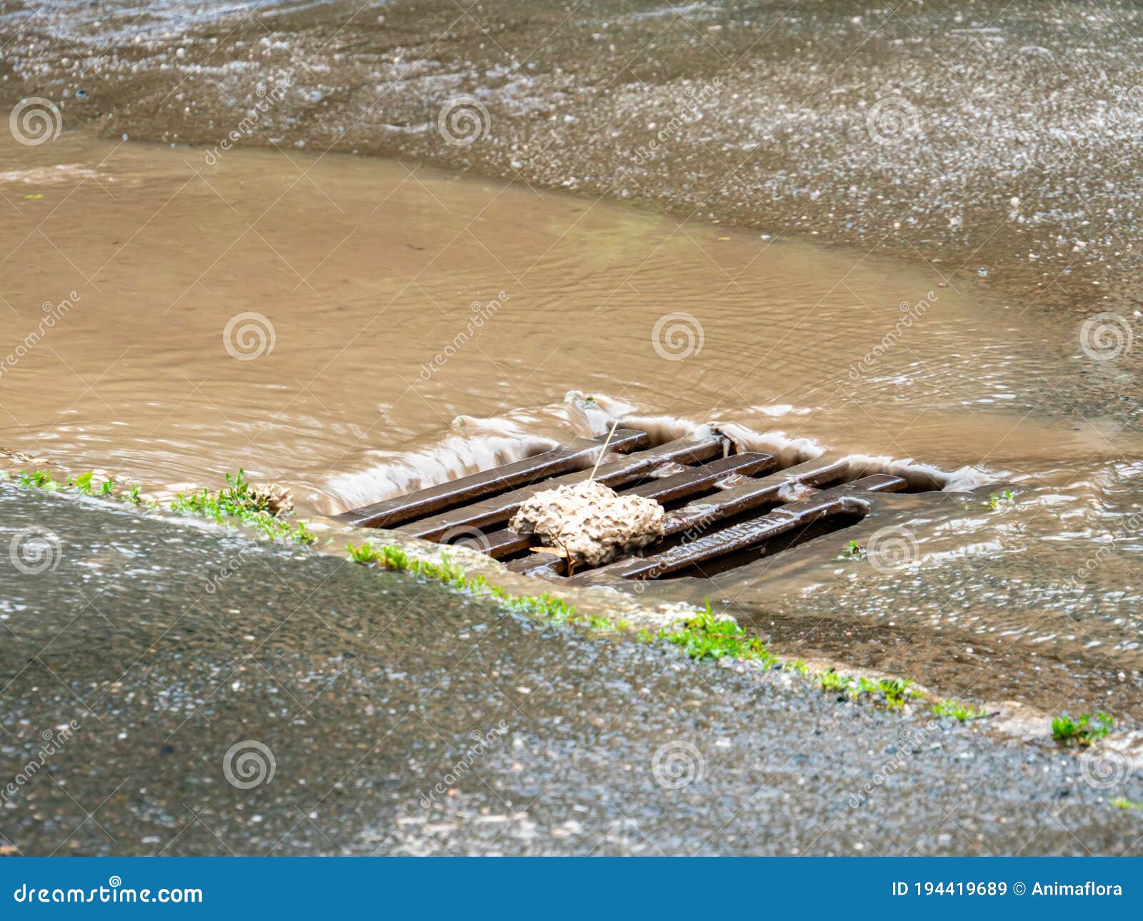 Full slop in heavy rain stock image. Image of nature - 194419689