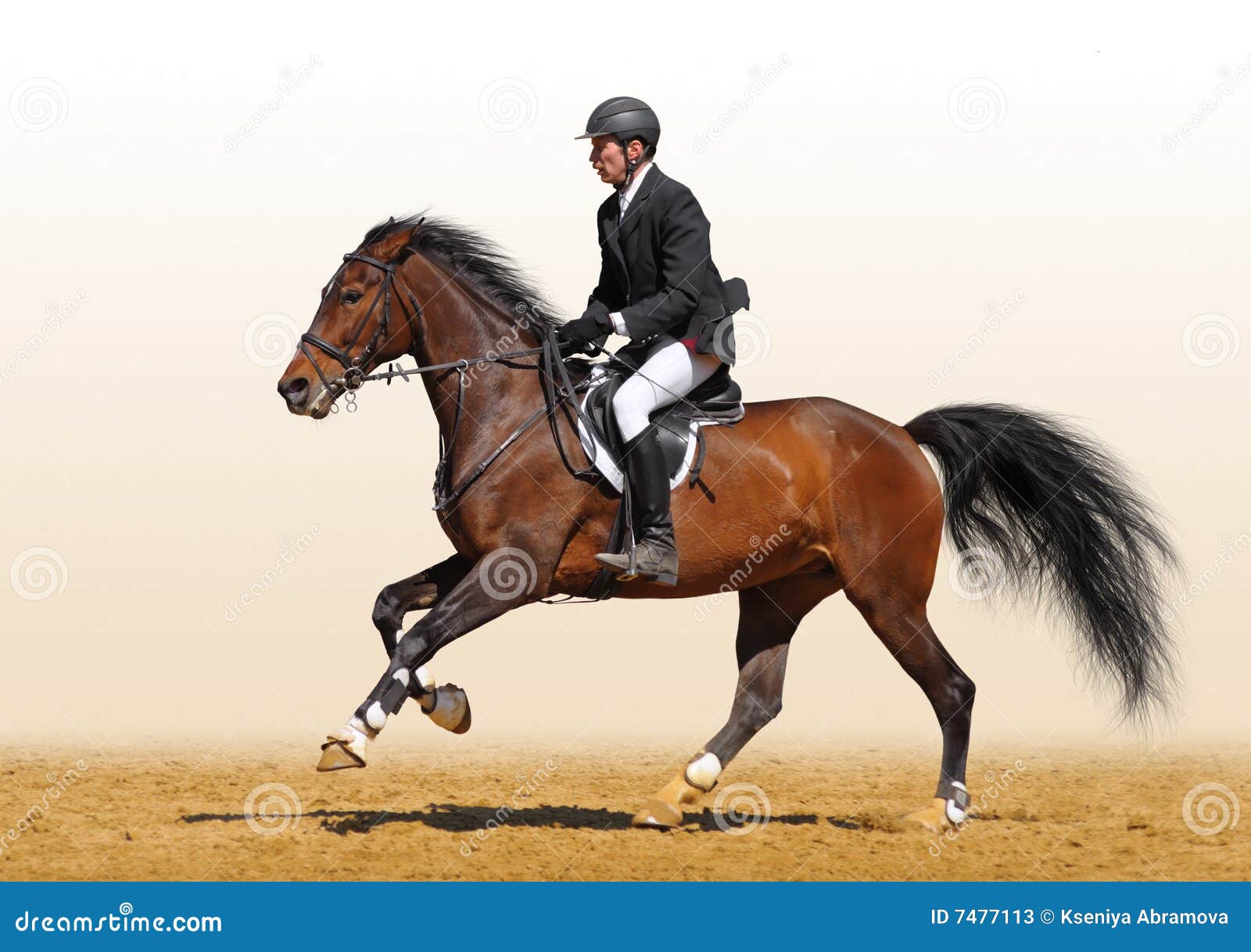 Full speed gallop stock image. Image of gallop, jockey - 7477113