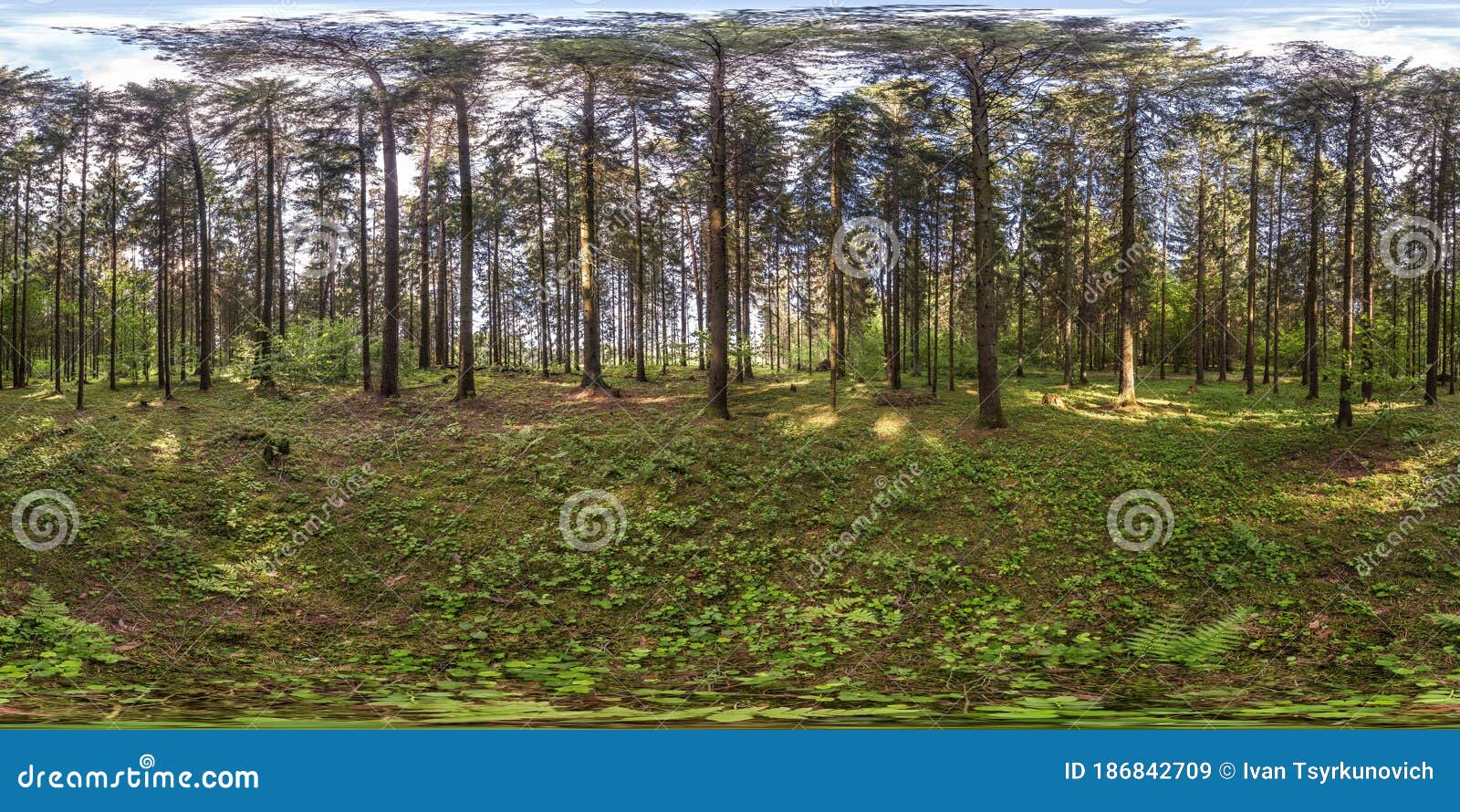 HDRI, Equirectangular Projection, Spherical Panorama., Environment Map ...