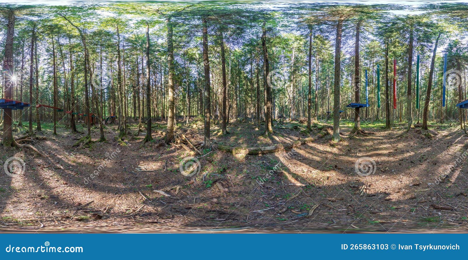 Full Spherical Hdri 360 Panorama in Pinery Forest in Equirectangular ...