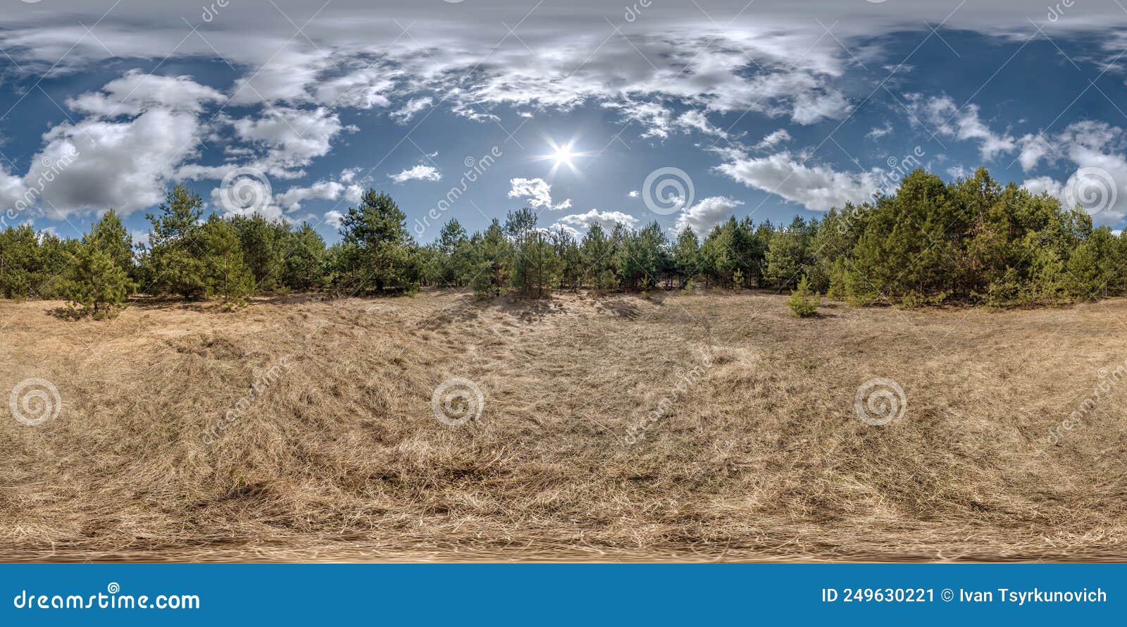 Full Spherical 360 Hdri Panorama View on Edge of Pinery Forest in ...