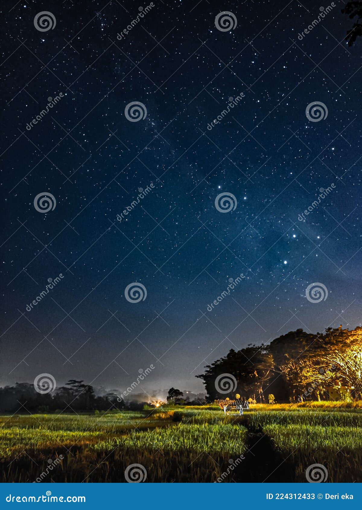 Full of star on the field stock image. Image of night - 224312433