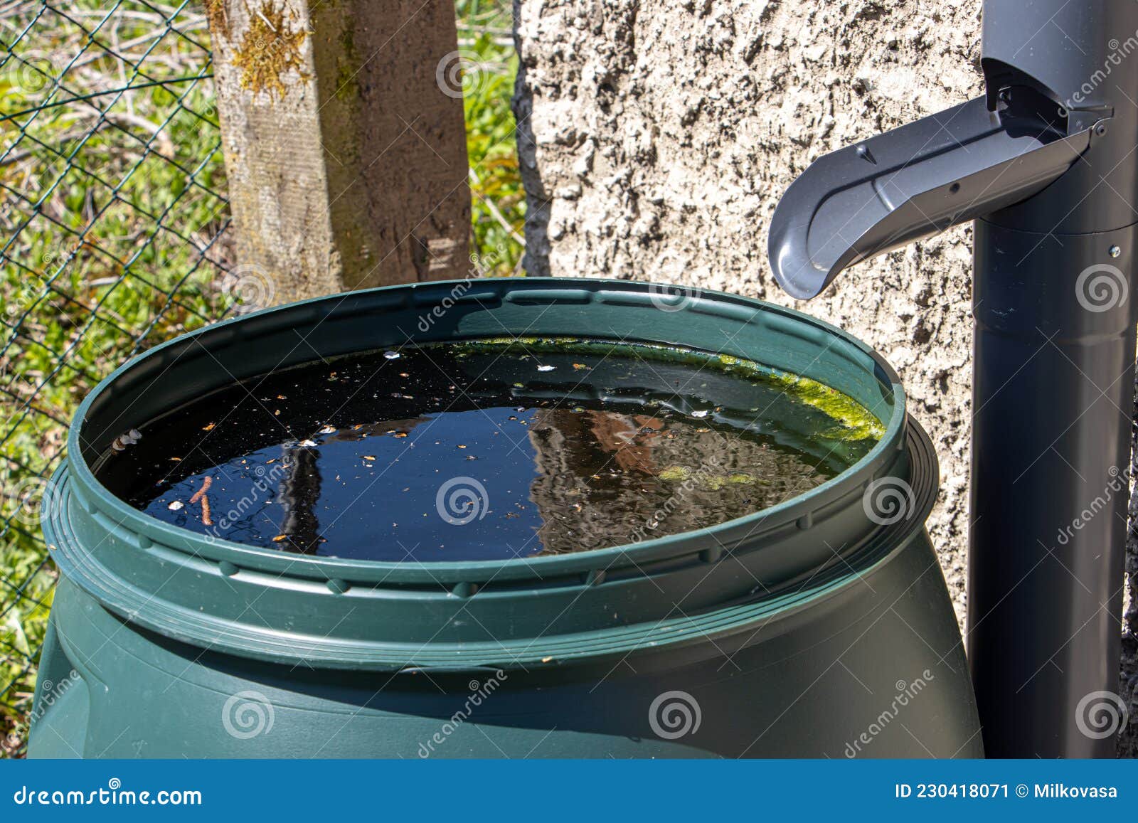 A Full Tank of Rainwater Under the Gutter Stock Image - Image of ...