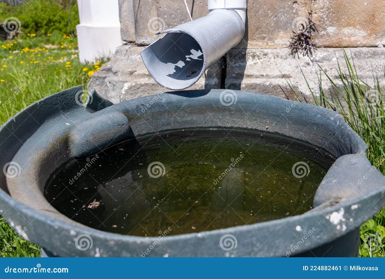 A Full Tank of Rainwater Under the Gutter Stock Image - Image of ...