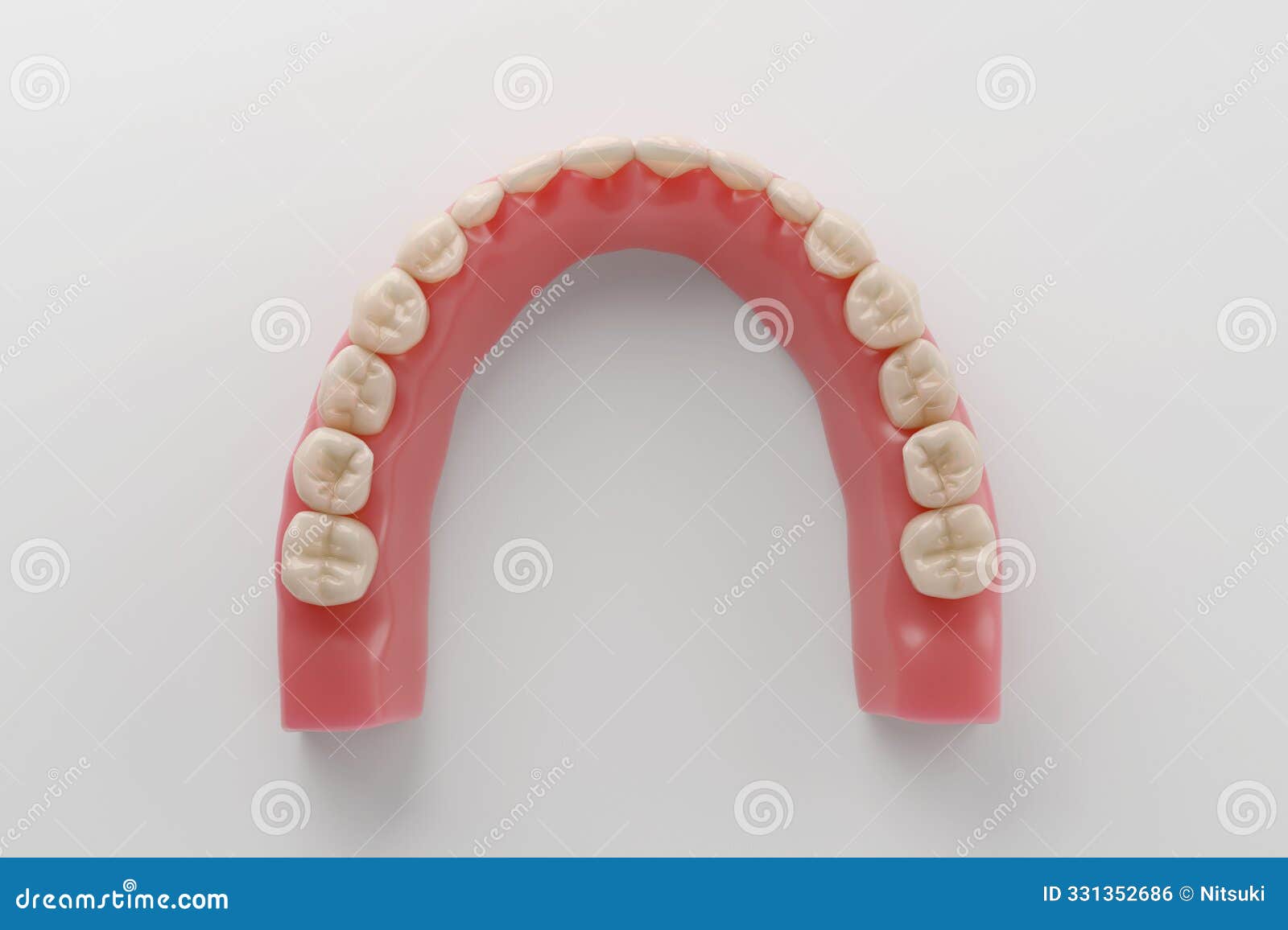 Full Teeth White Background, Top View. Stock Illustration ...