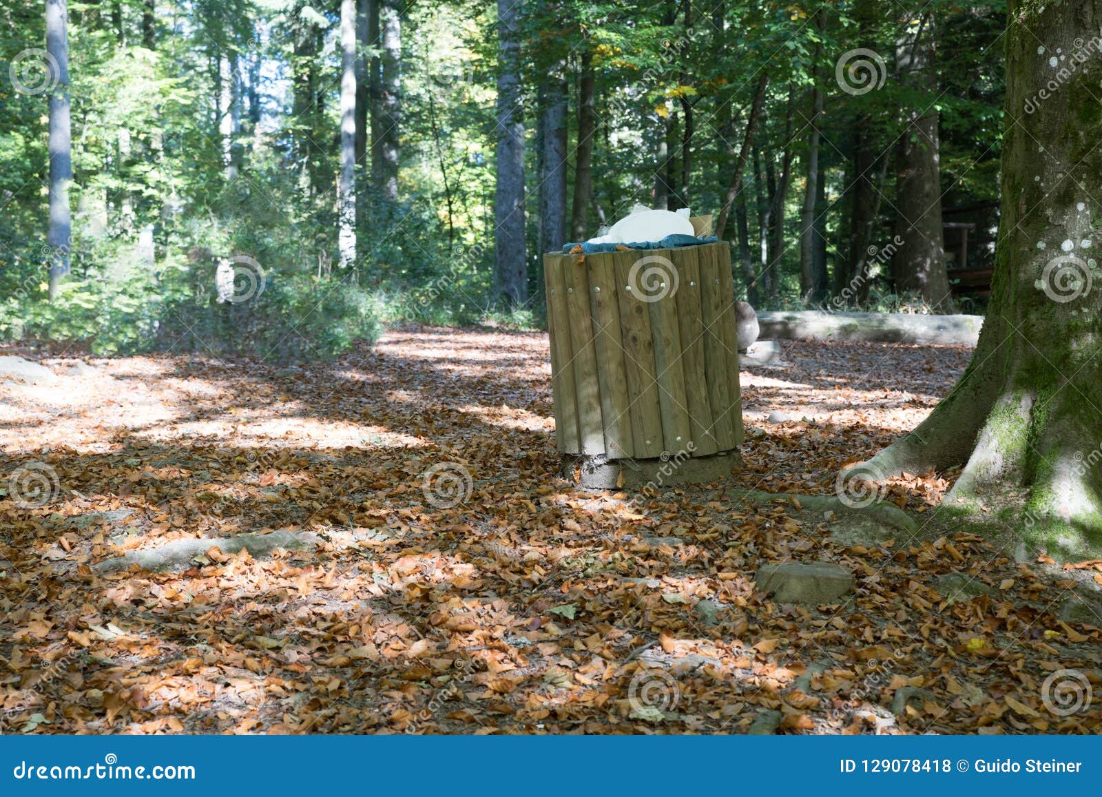 Full Trash Bin in the Middle of the Forest Stock Photo - Image of ...
