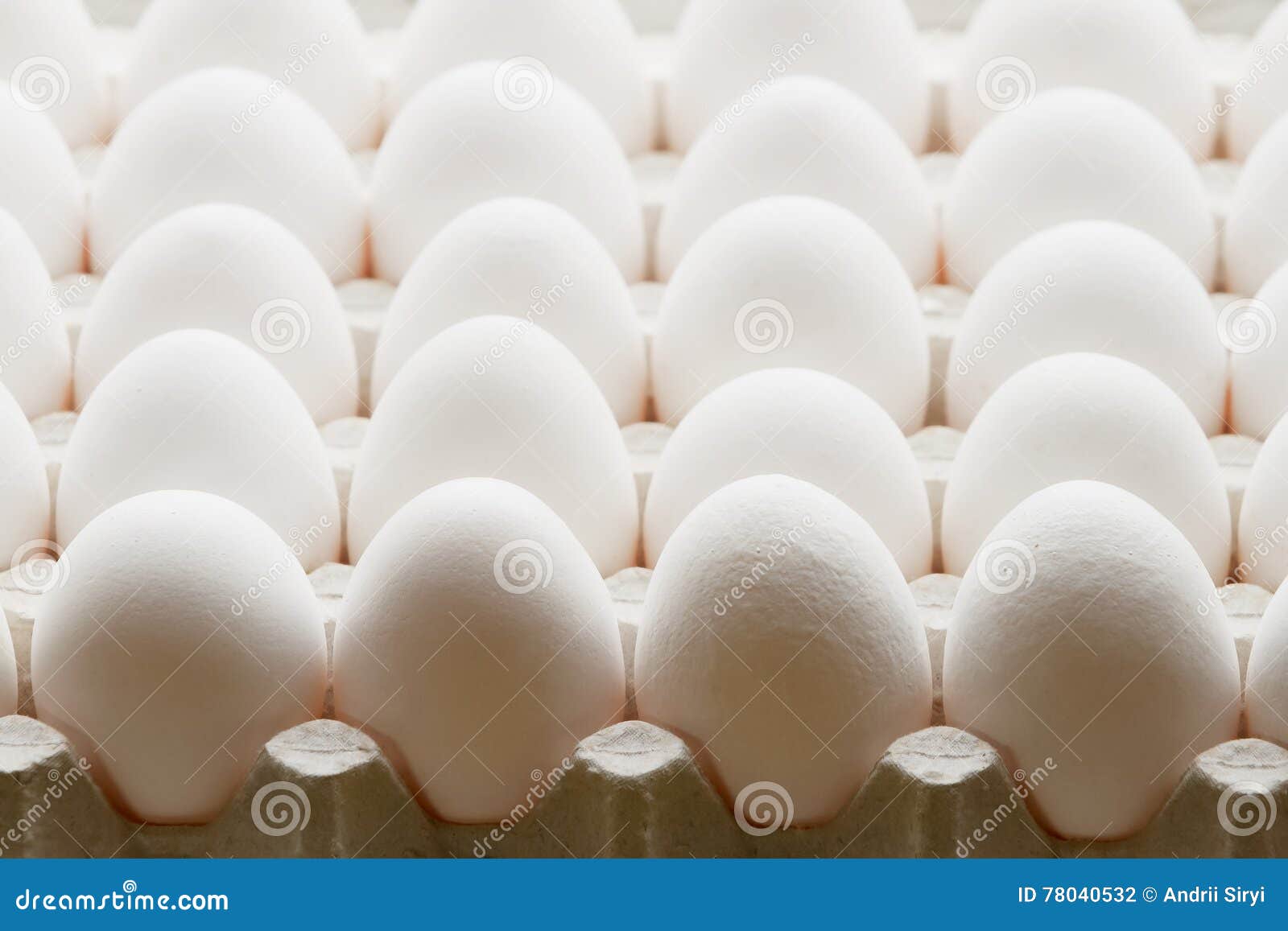 Full tray of white eggs stock photo. Image of backgrounds - 78040532