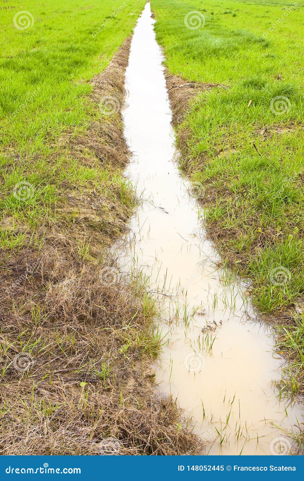 Full Water Ditch in a Field after Torrential Rain Stock Image - Image ...