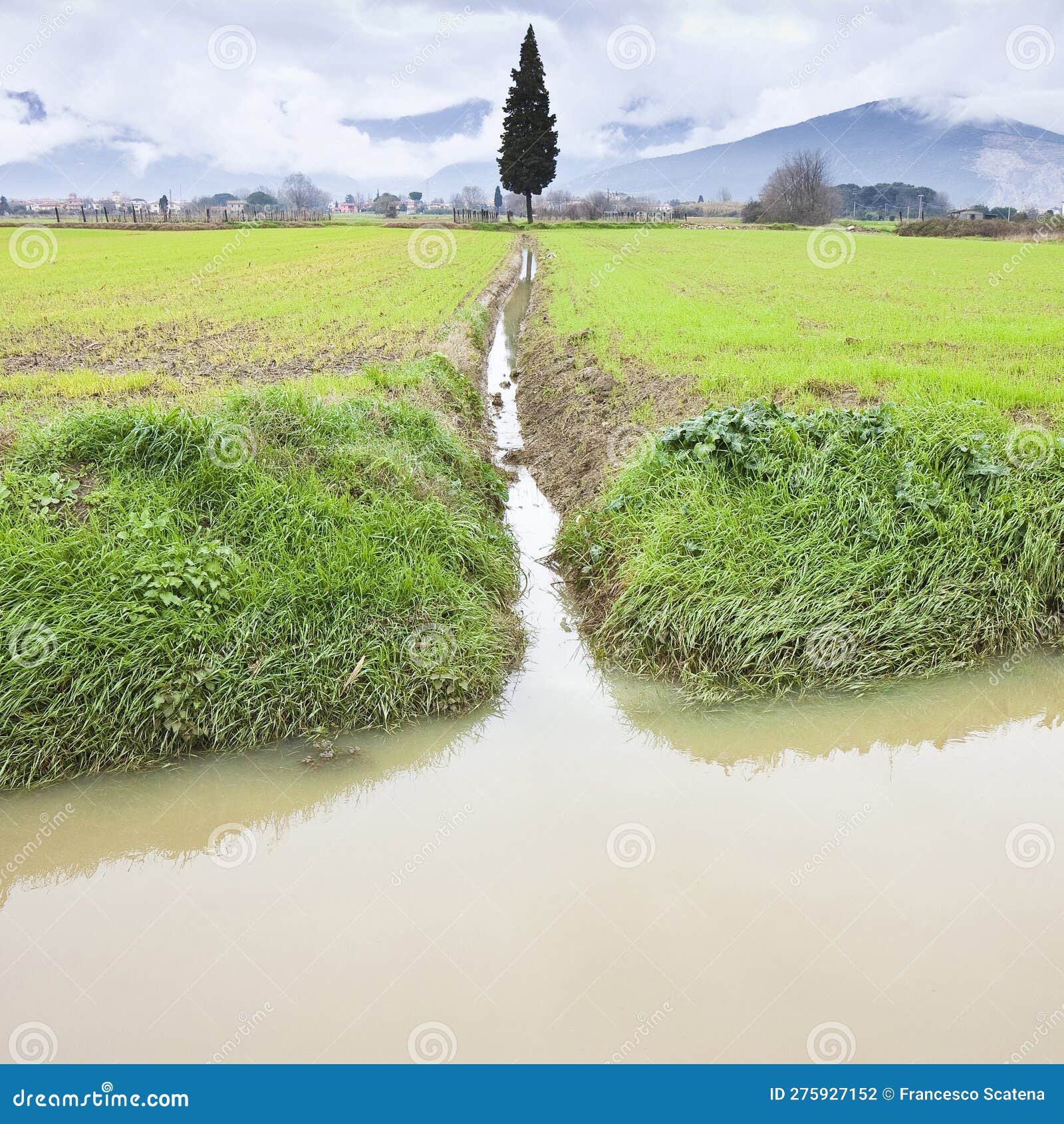 Full Water Ditch in a Field after Torrential Rain Stock Photo - Image ...