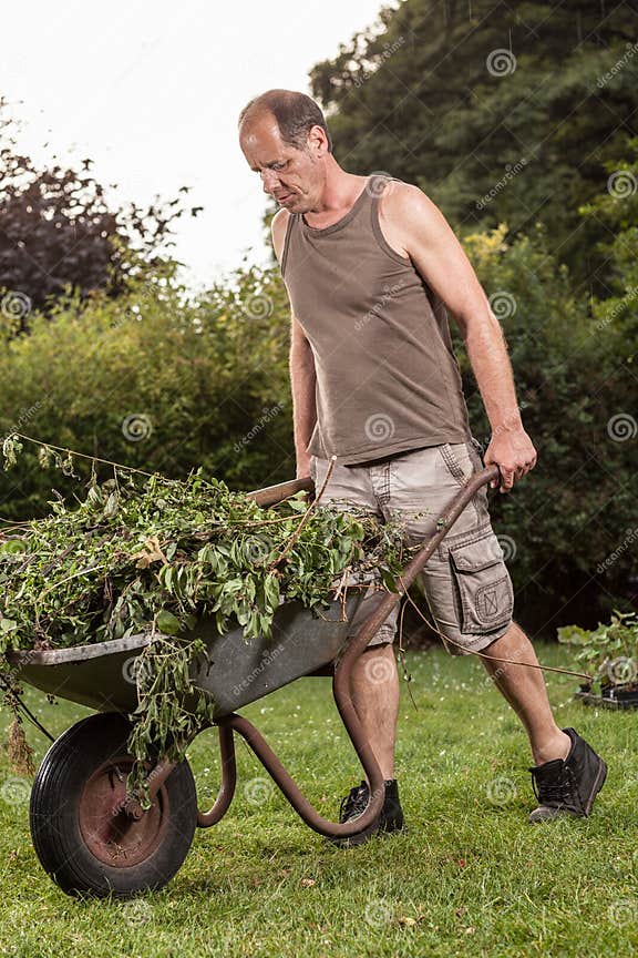 Full Wheelbarrow stock image. Image of nature, finished - 33119199