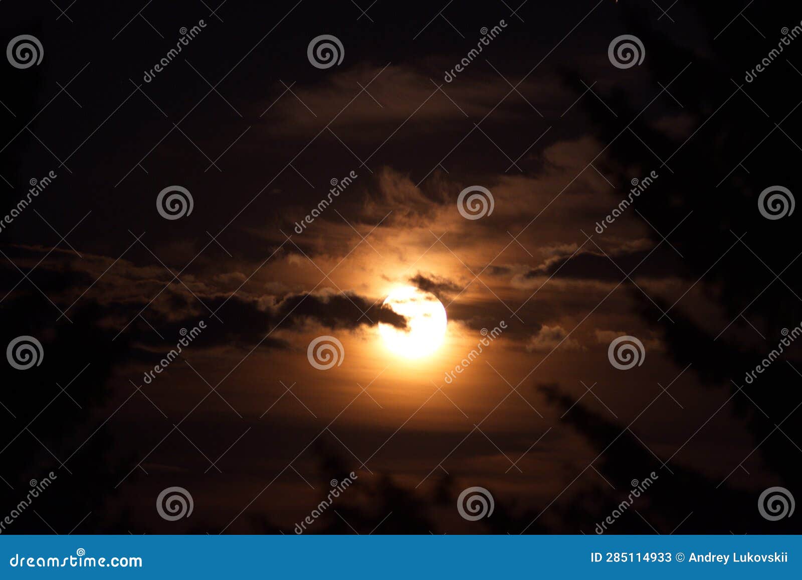 Full Yellow Moon in the Night Sky with Branches of Forest Trees Stock ...
