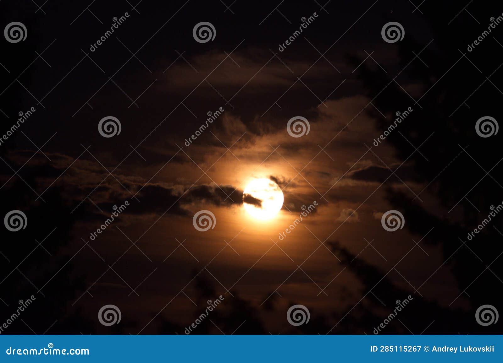 Full Yellow Moon in the Night Sky with Branches of Forest Trees Stock ...