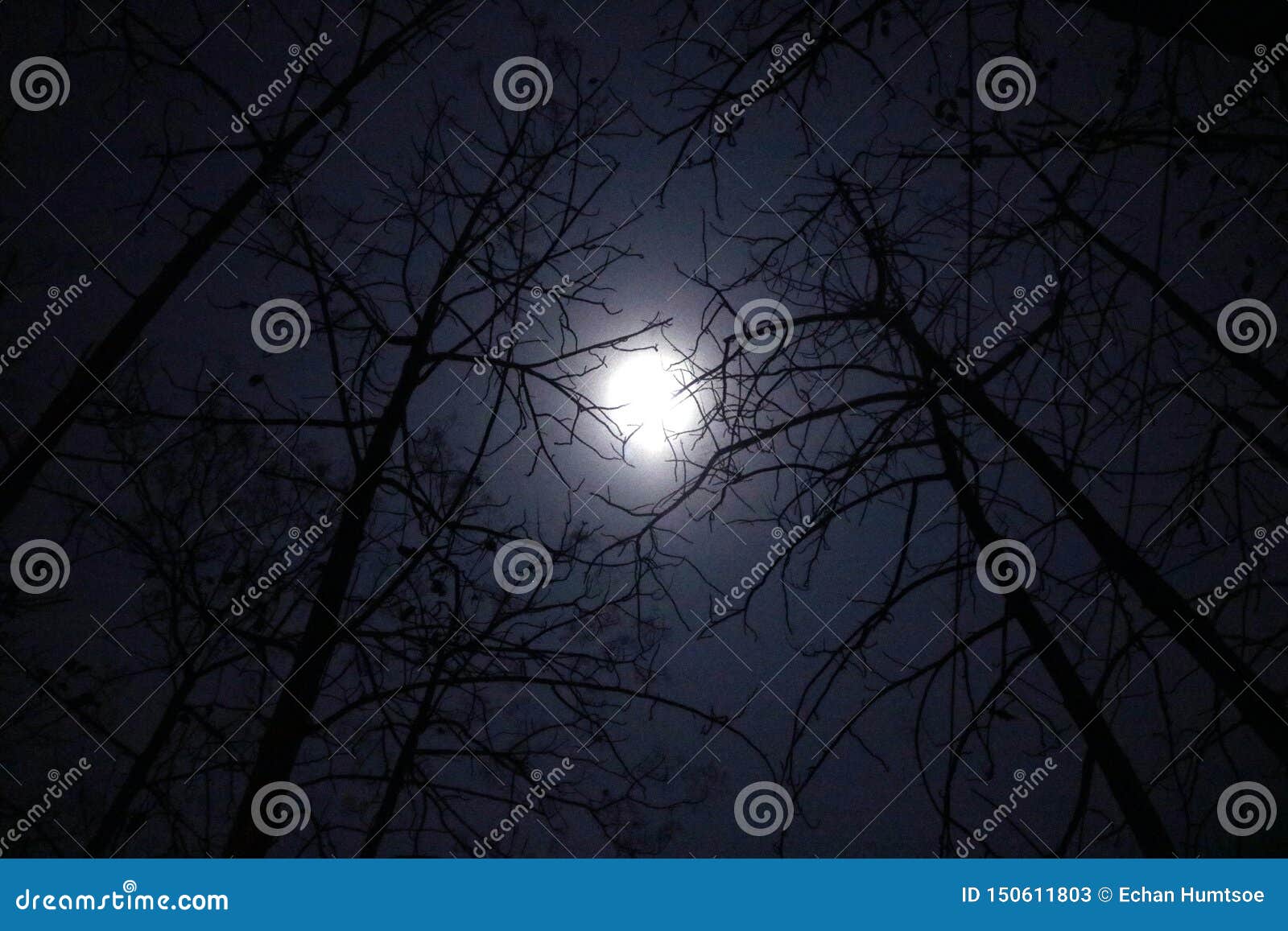 A fullmoon dusk in spring stock image. Image of dusk - 150611803