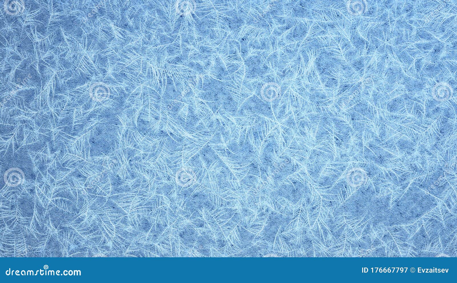 Fully Covered Frosted Frame. Frosted Patterns on the Glass Stock ...