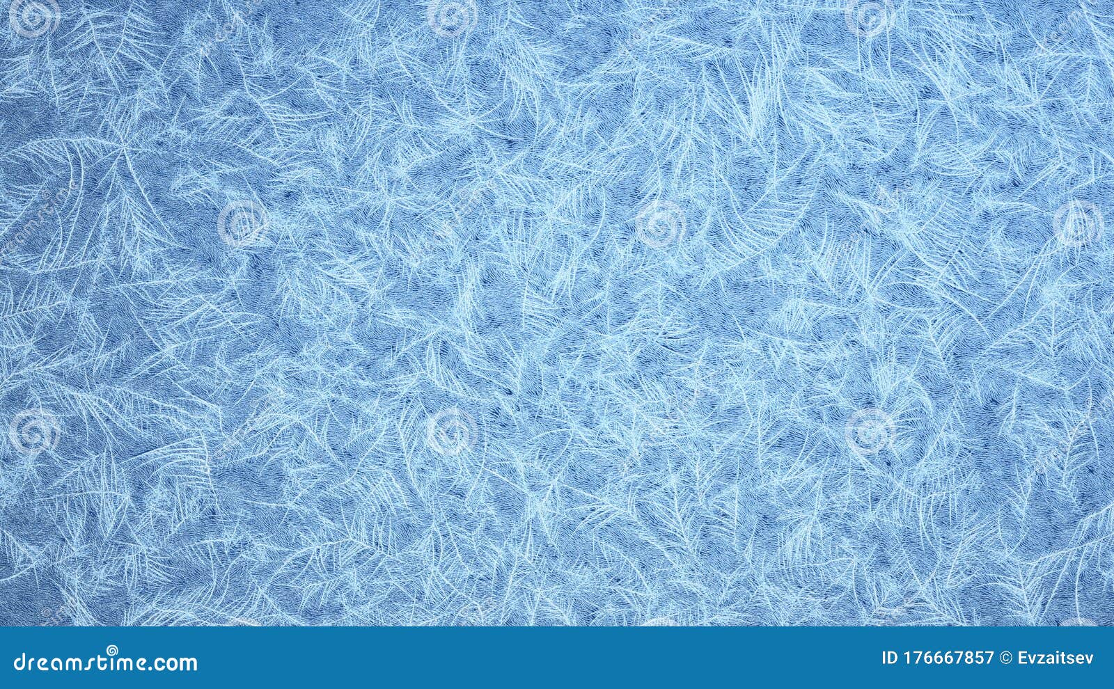 Fully Covered Frosted Frame. Frosted Patterns on the Glass Stock ...