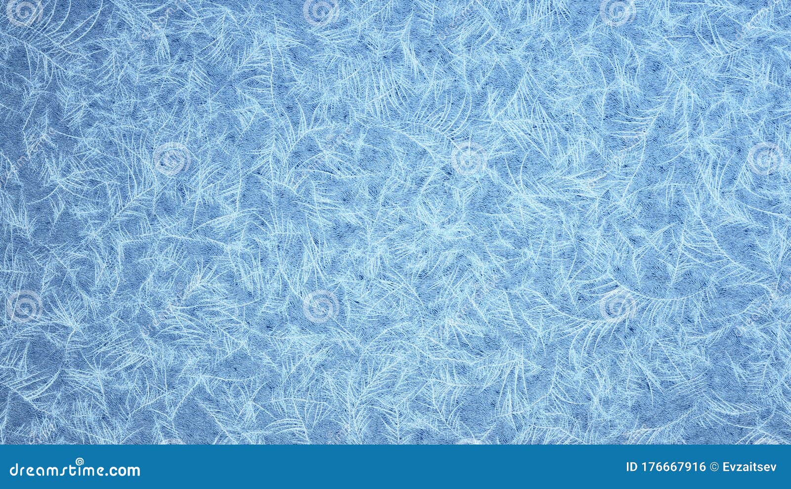 Fully Covered Frosted Frame. Frosted Patterns on the Glass Stock ...