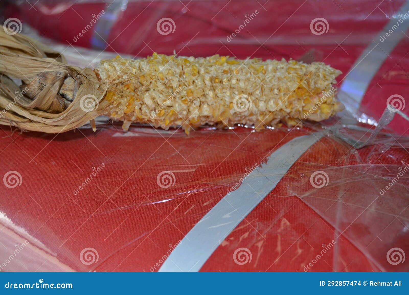 Fully Eaten Corn on the Cob Isolated on Red Background Stock Photo ...