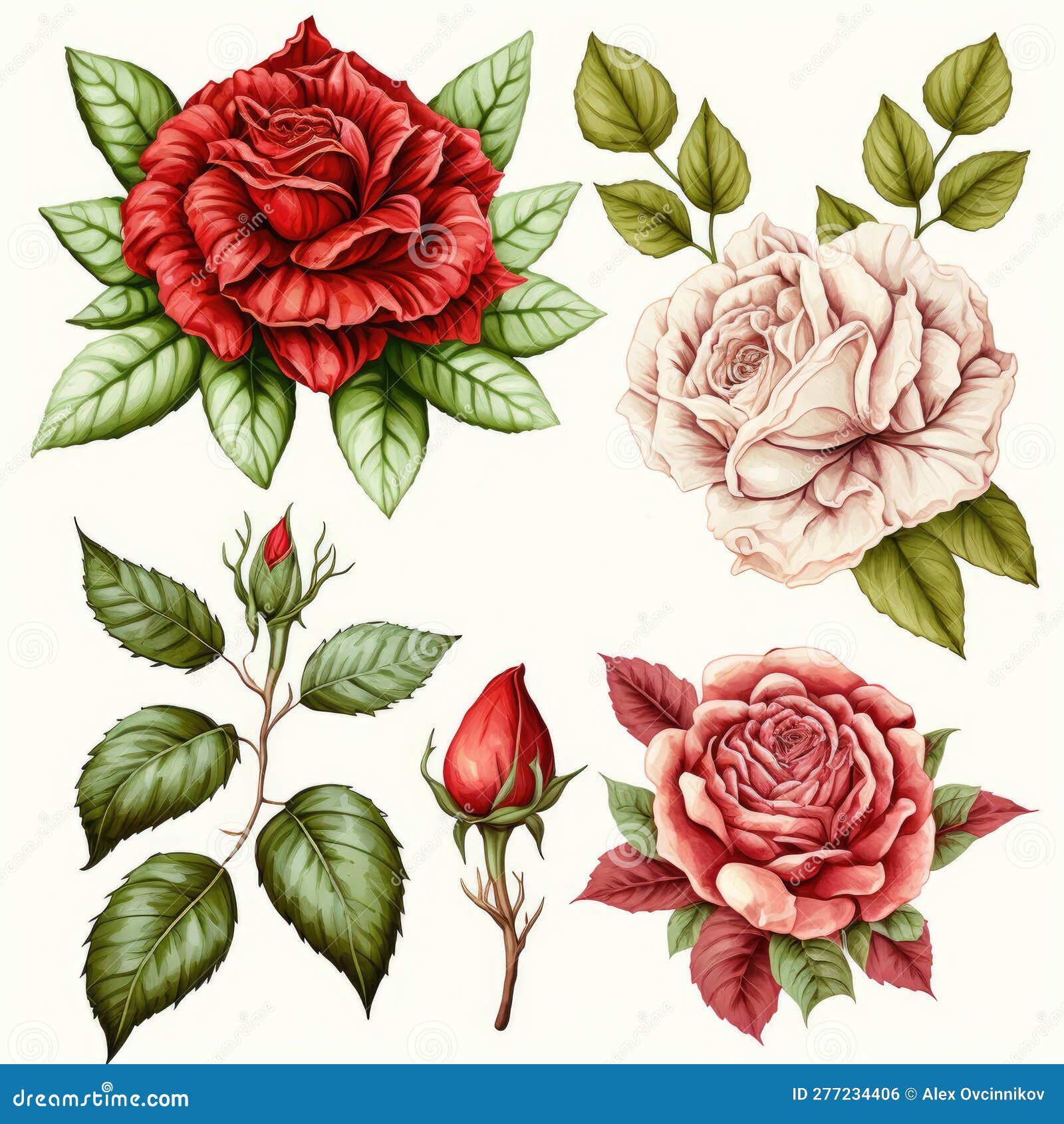 Fully Formed Red Rose Element Set for Scrapbooking and Invitations ...
