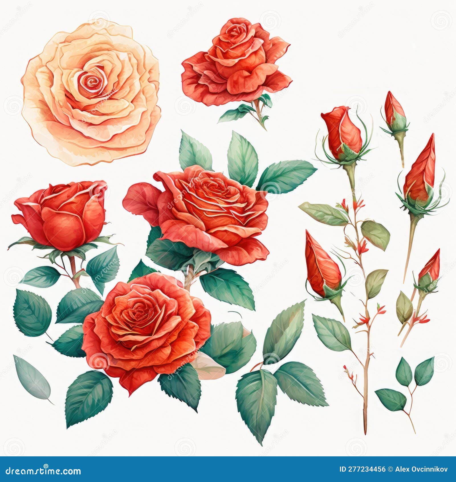 Fully Formed Red Rose Element Set for Scrapbooking and Invitations ...