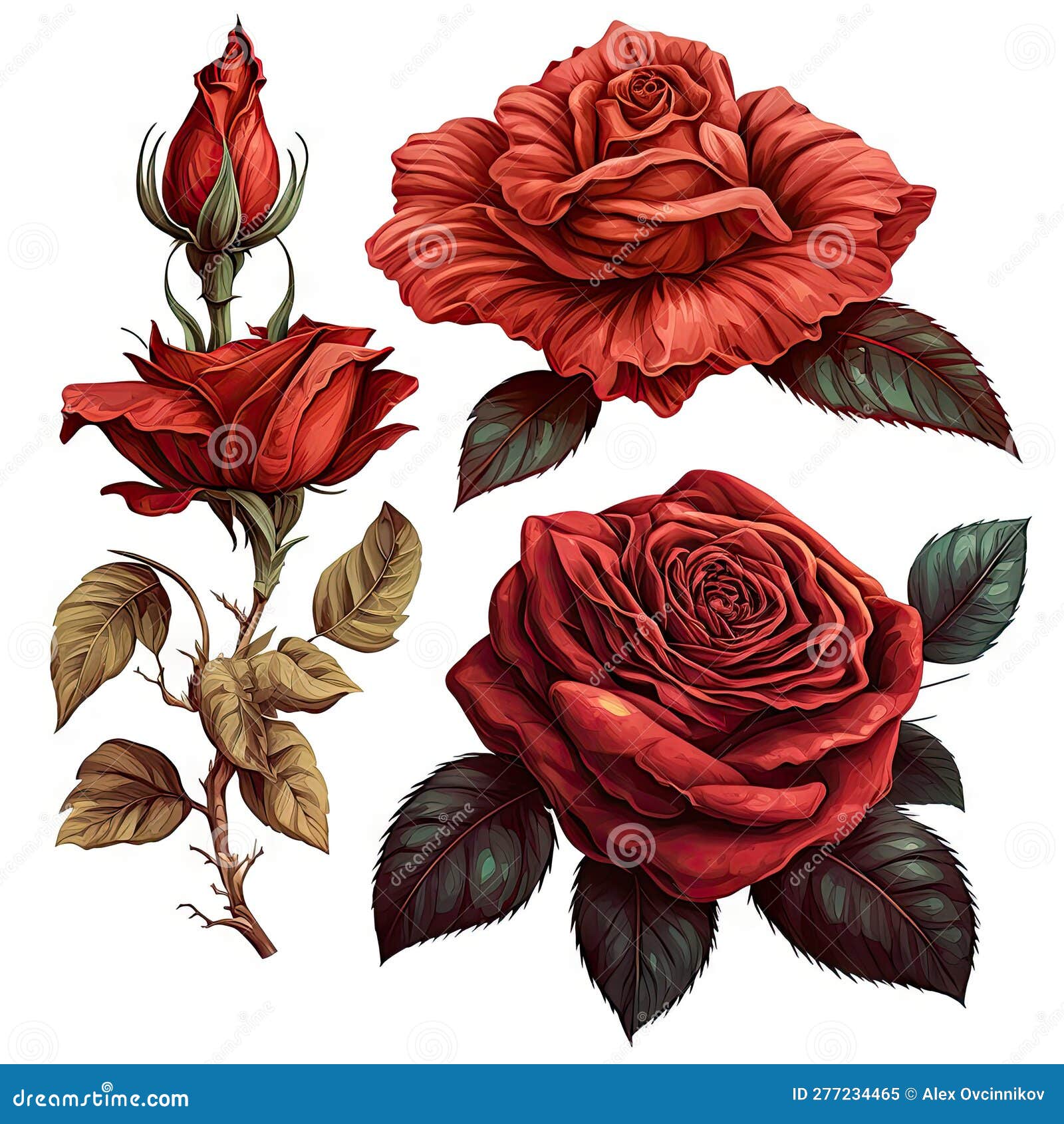 Fully Formed Red Rose Element Set for Scrapbooking and Invitations ...
