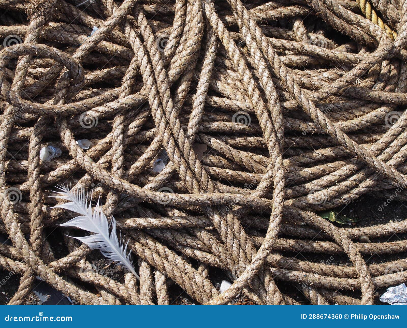 Full Frame Image of Old Brown Coiled Marine or Fishing Rope Stock Photo ...