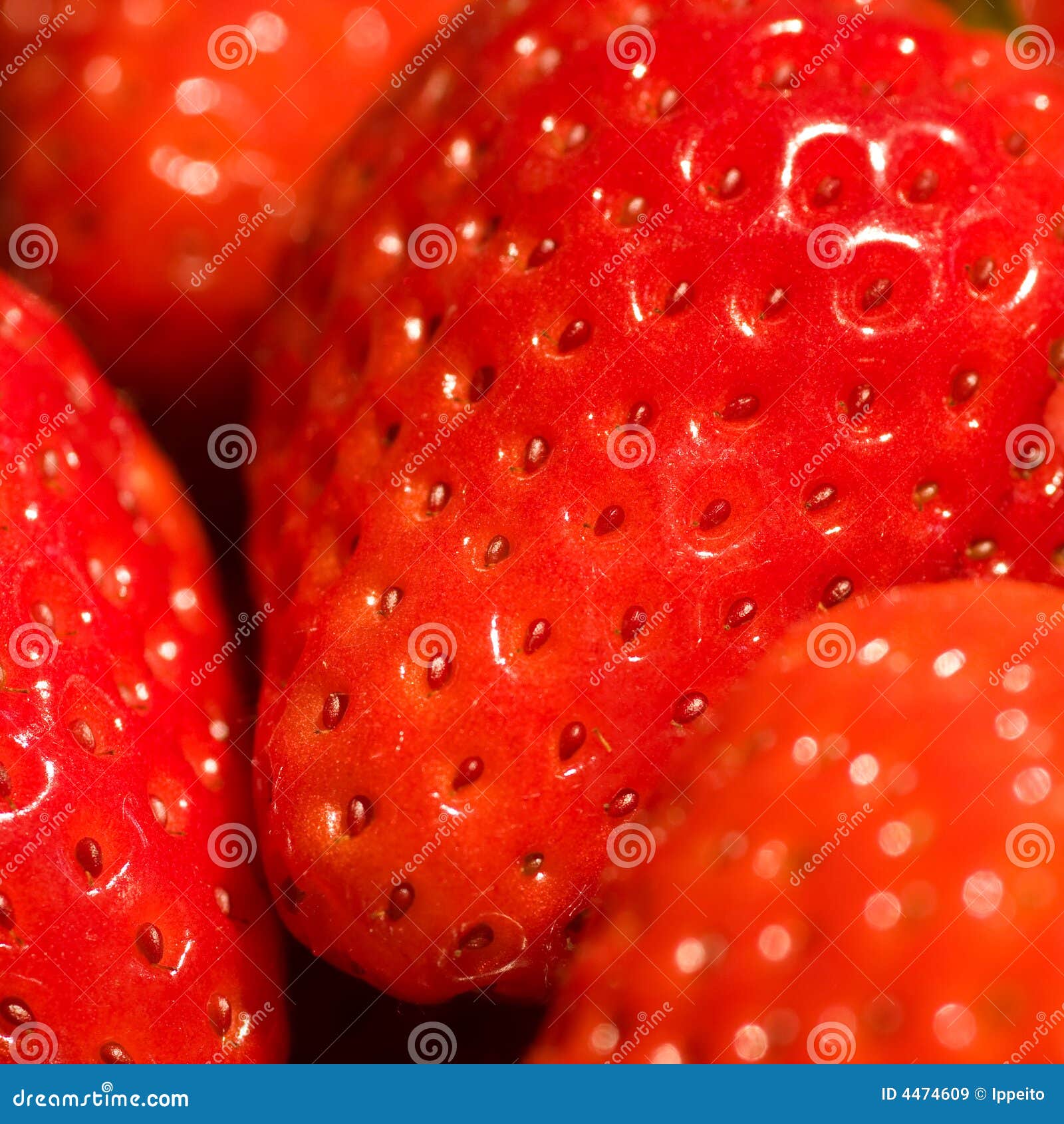 Fully riped strawberries stock image. Image of shape, round - 4474609