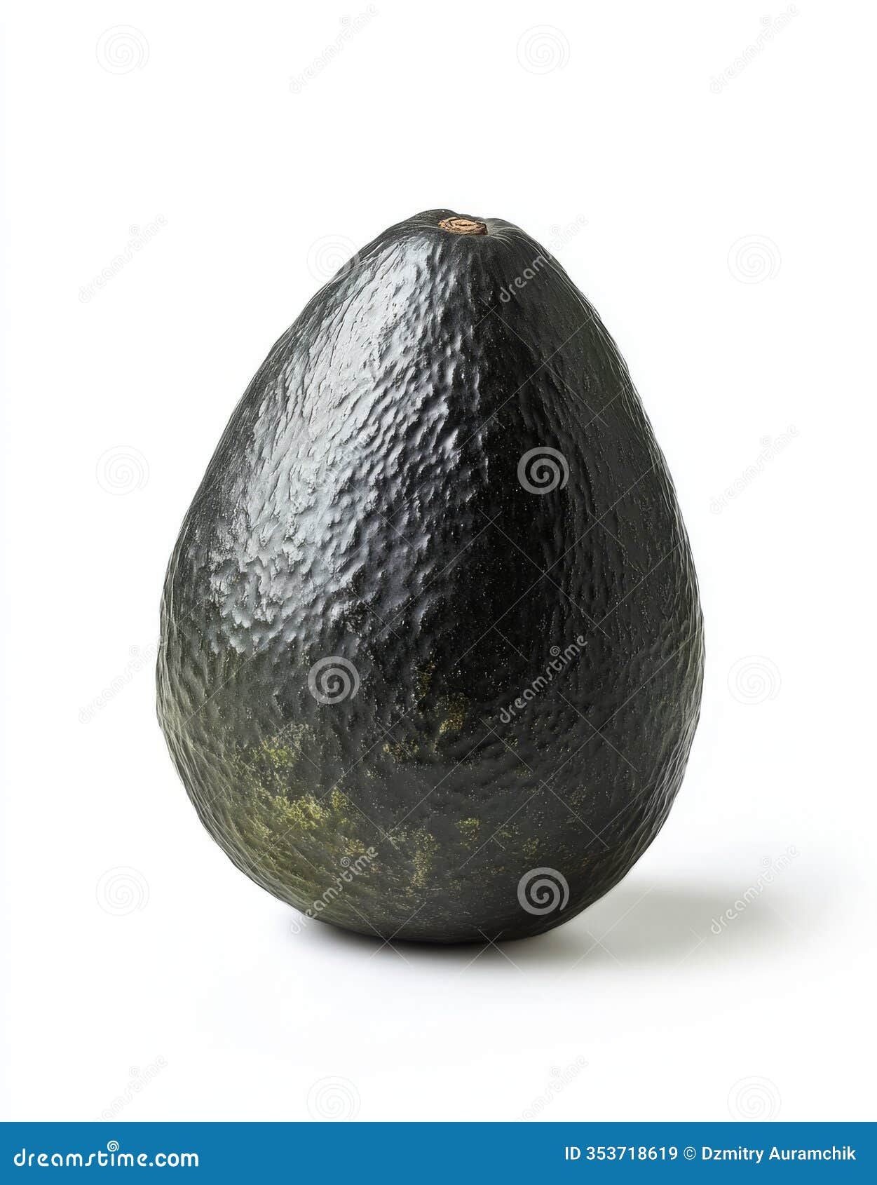 A Fully Ripened, Green Avocado with a Bumpy Surface and a Little Stem ...