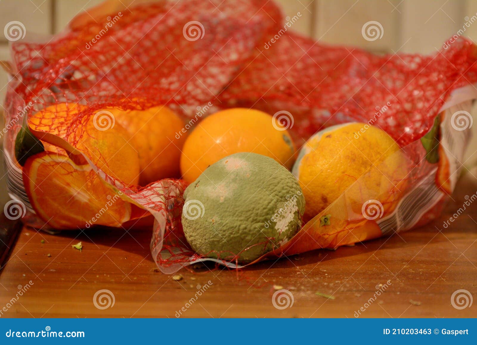 Fully rotten orange stock image. Image of natural, food - 210203463