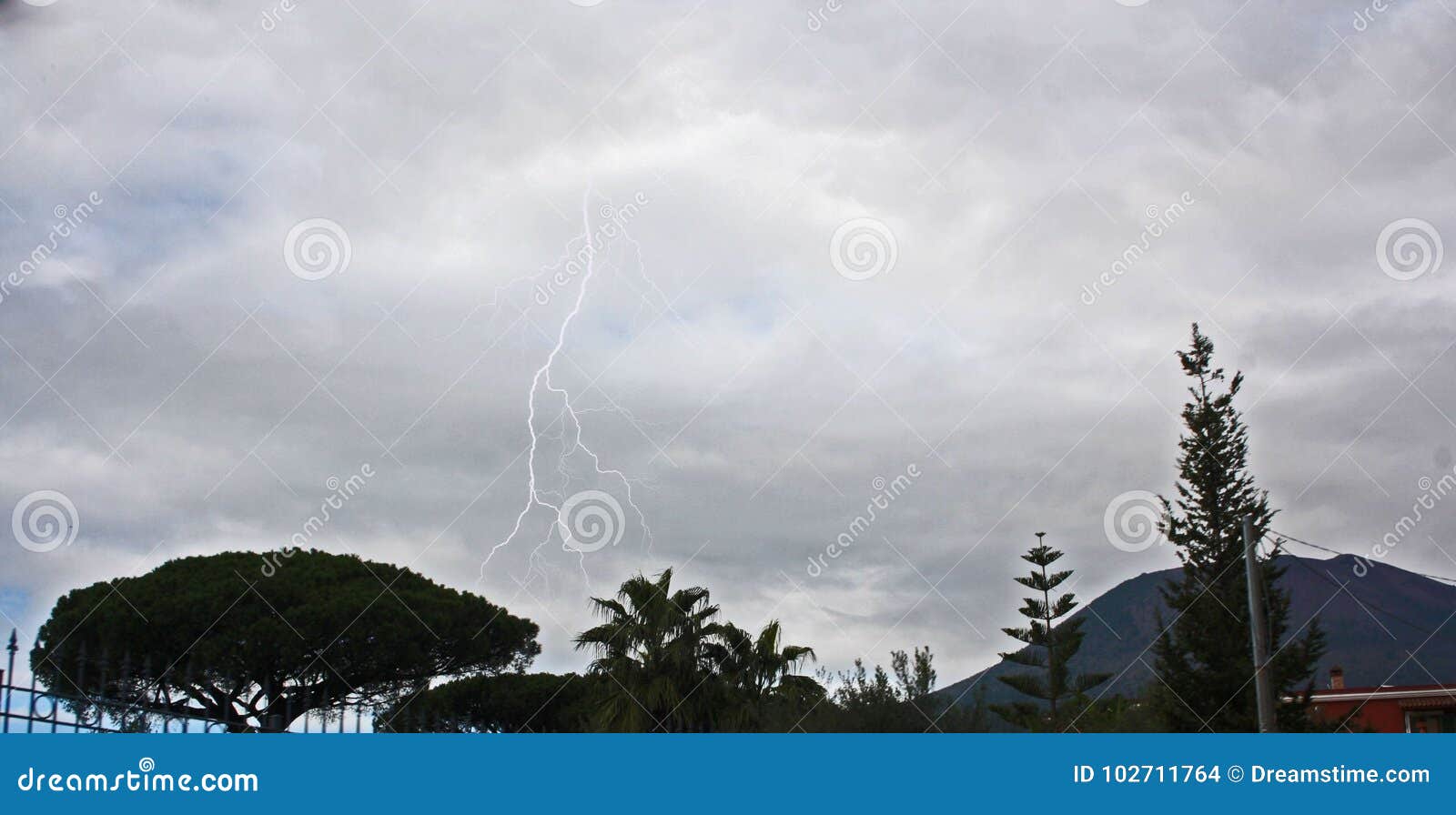 Fulmine Raining Tree Vesuvio Nature Stock Photos - Free & Royalty-Free ...