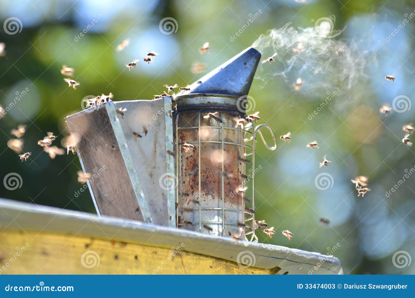 Fumador de la abeja imagen de archivo. Imagen de herramienta - 33474003