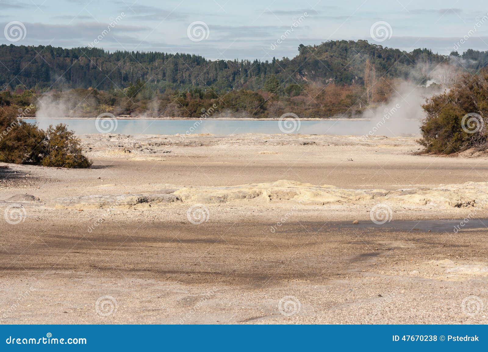 Fumarolas Na Costa De Rotorua Do Lago Foto de Stock - Imagem de costa ...