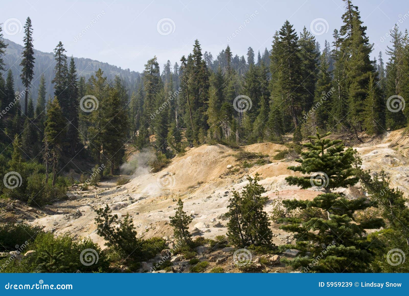 Fumarole stock image. Image of fumy, california, fracture - 5959239