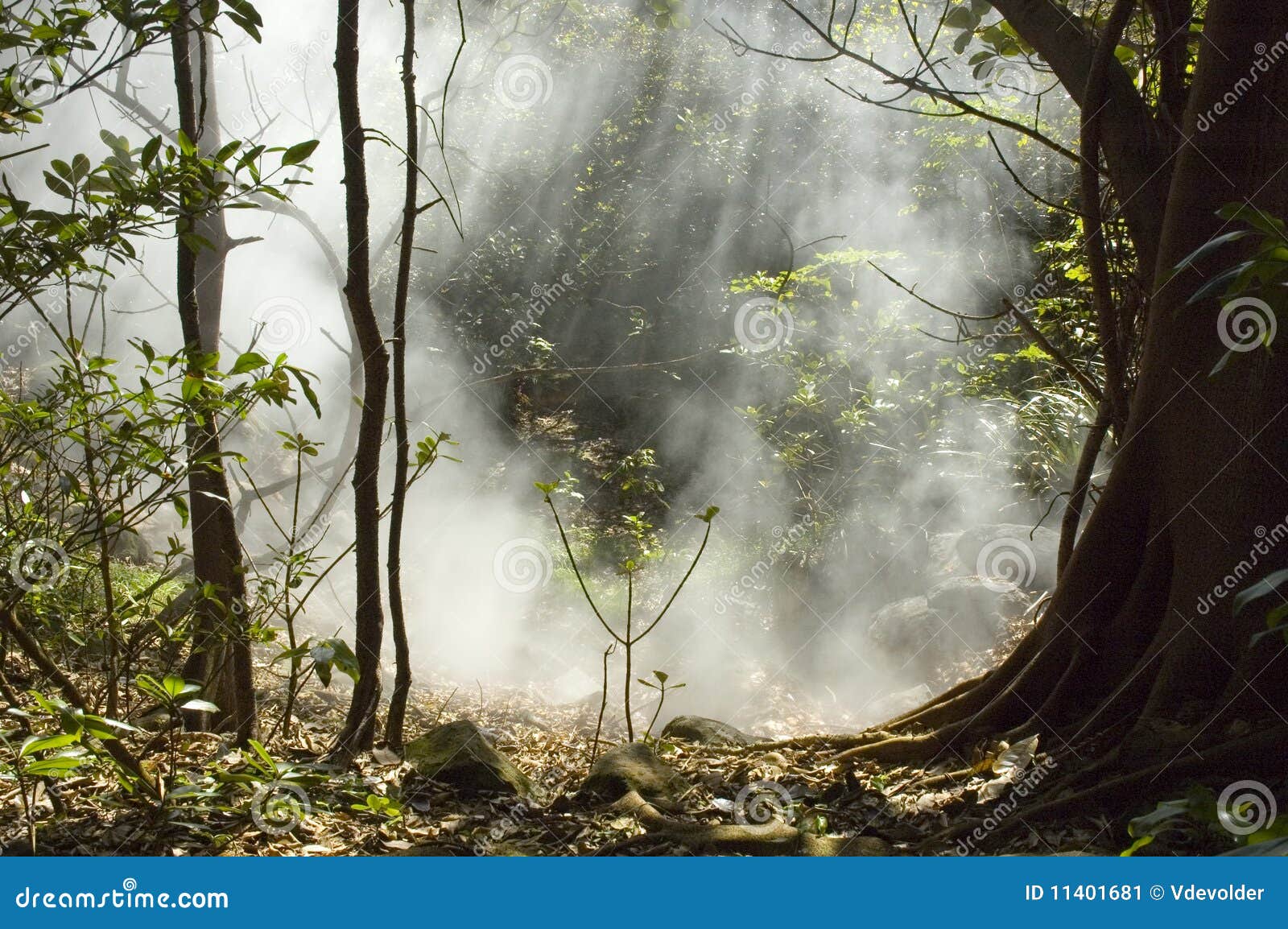 Fumerolle Chez Rincon De La Vieja Volcano. Image stock - Image du ...
