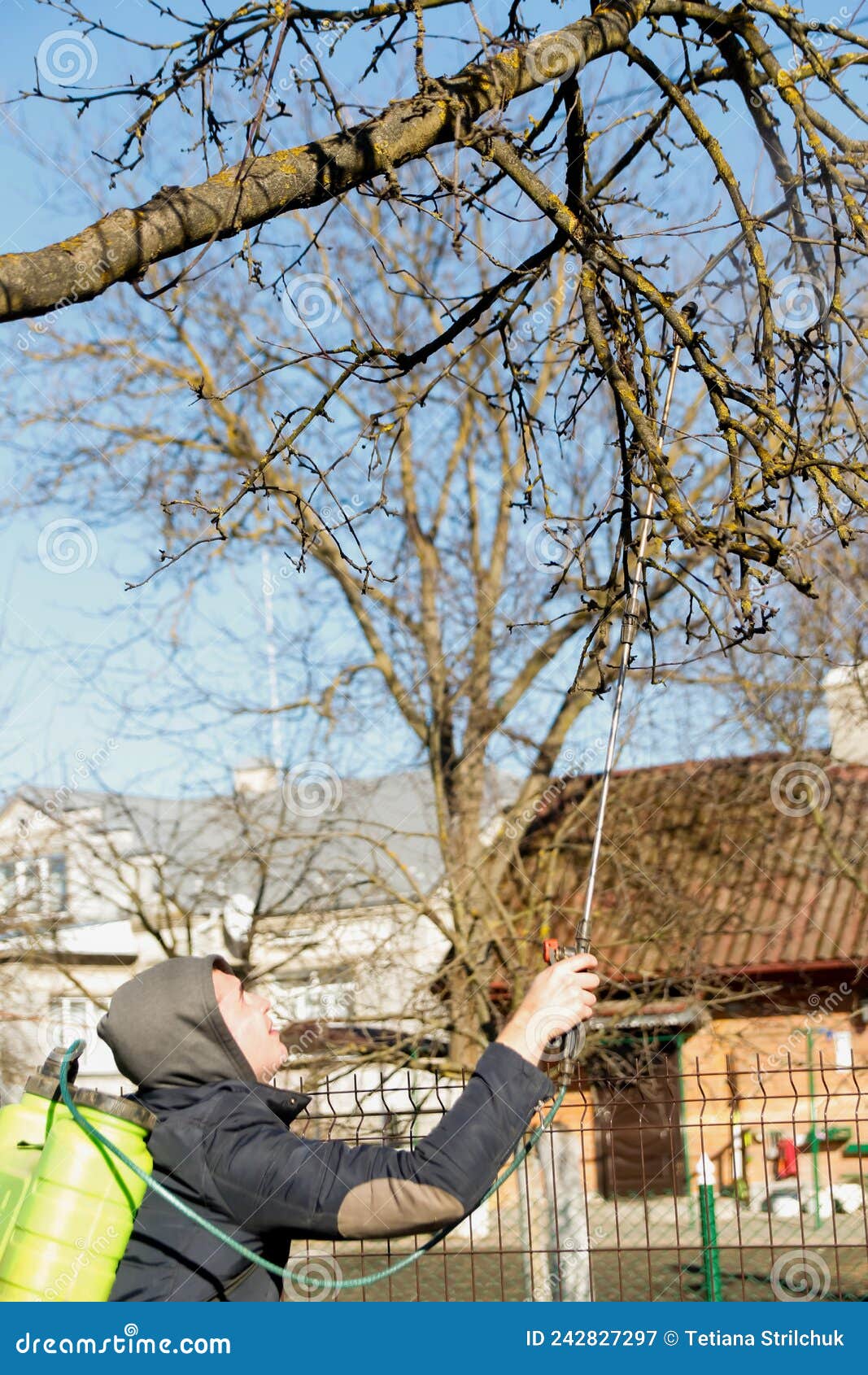 Fumigating Pesti Pest Control Defocus Farmer Man Spraying Tree With
