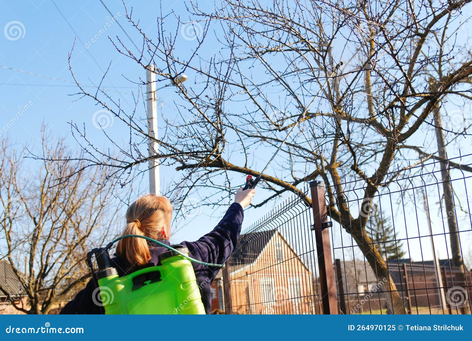 Fumigating Pesti Pest Control Defocus Farmer Woman Spraying Tree With