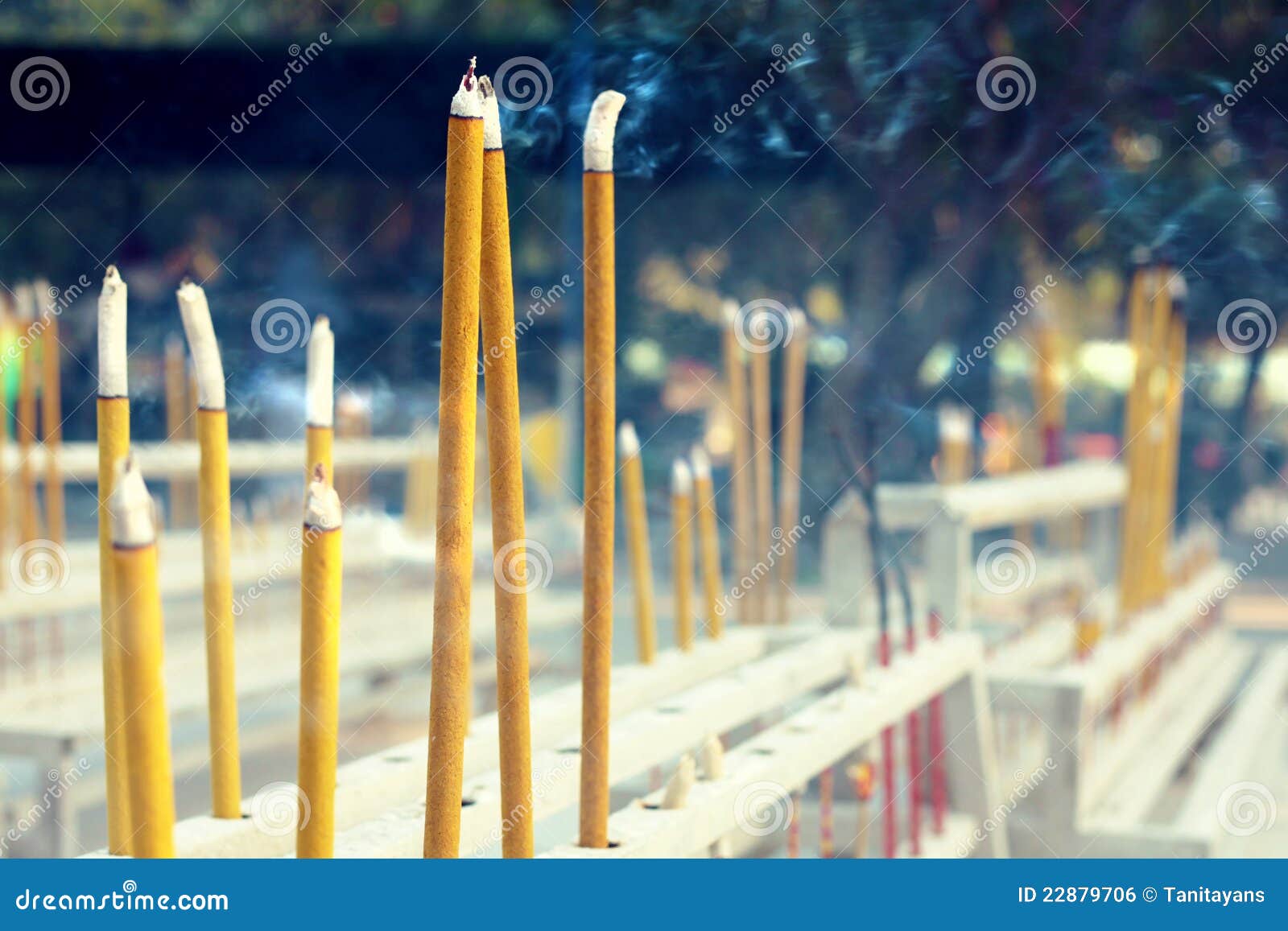 Fumigating Yellow Chinese Sticks Stock Photo - Image of taiwan, shah ...
