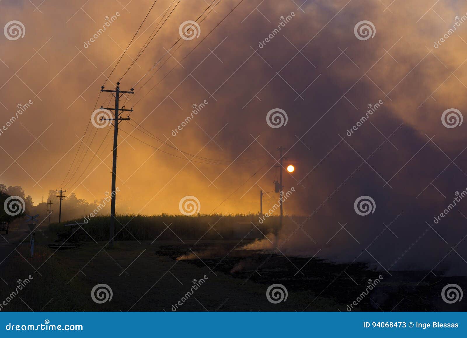 Fumo De Restolho Ardente Da Colheita Imagem de Stock - Imagem de ...