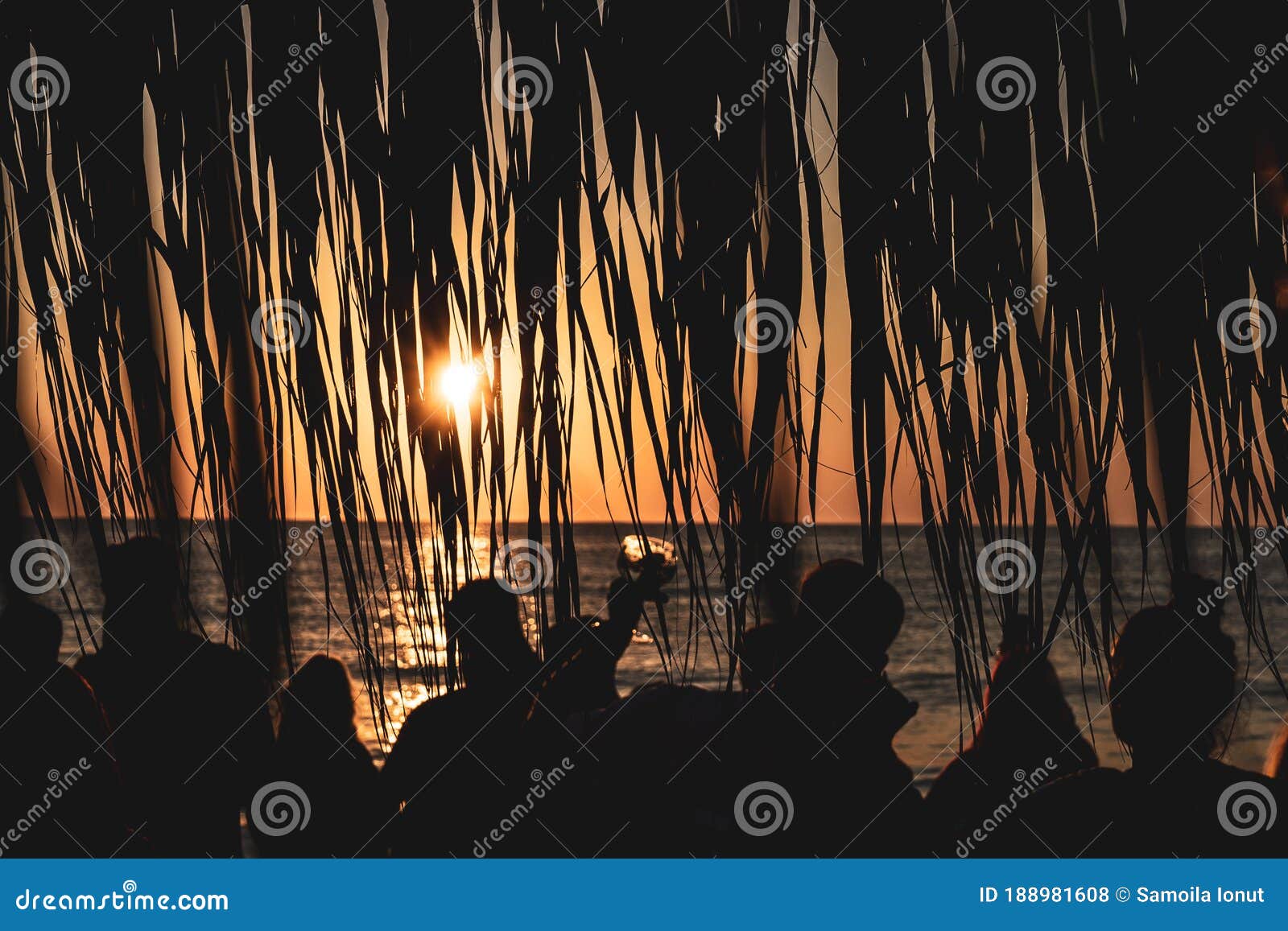 Fun Atmosphere on the Beach at Sunrise Stock Photo - Image of reeds ...