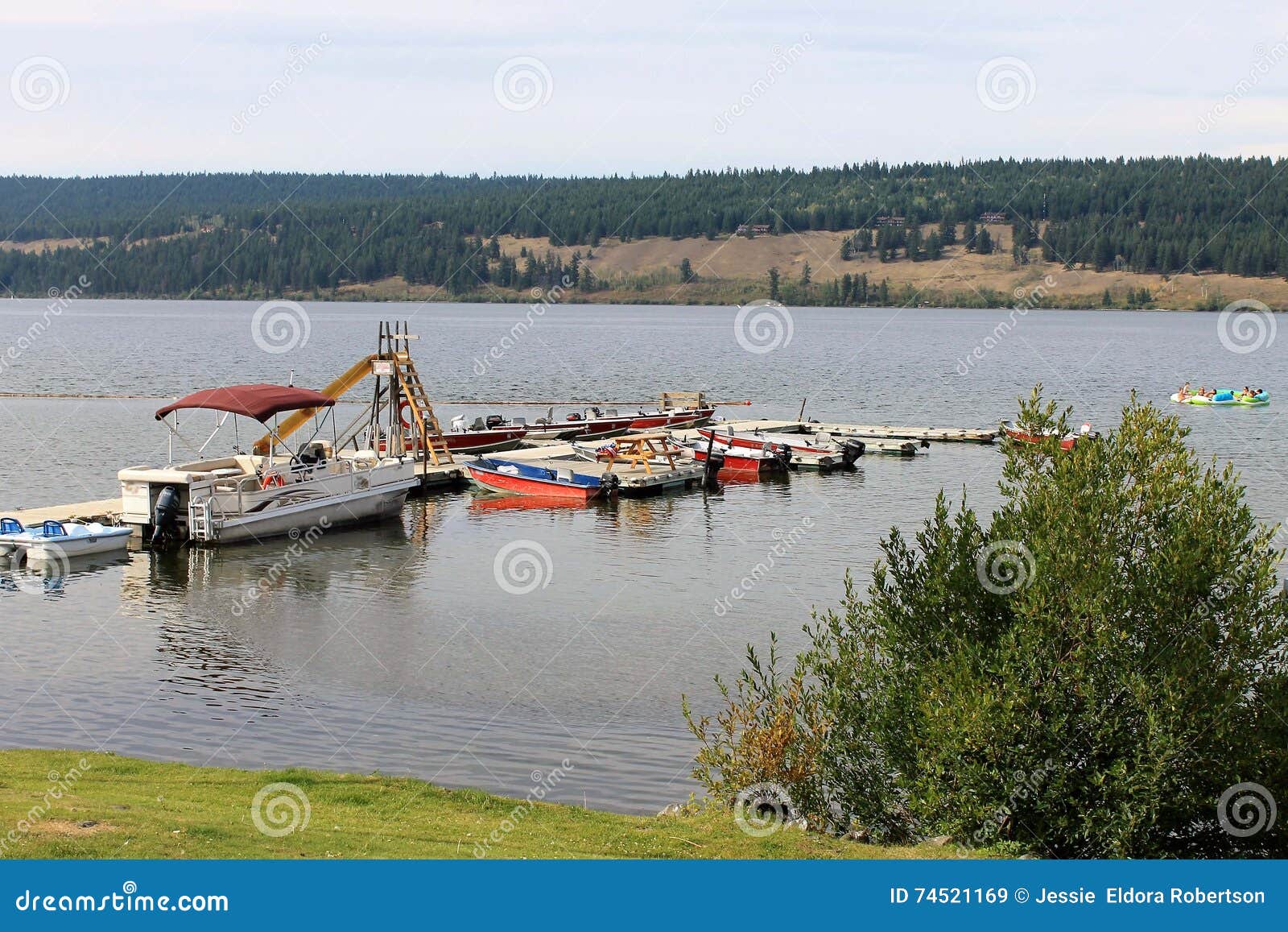 Boating fun scenic stock image. Image of horizon, treeline - 74521169