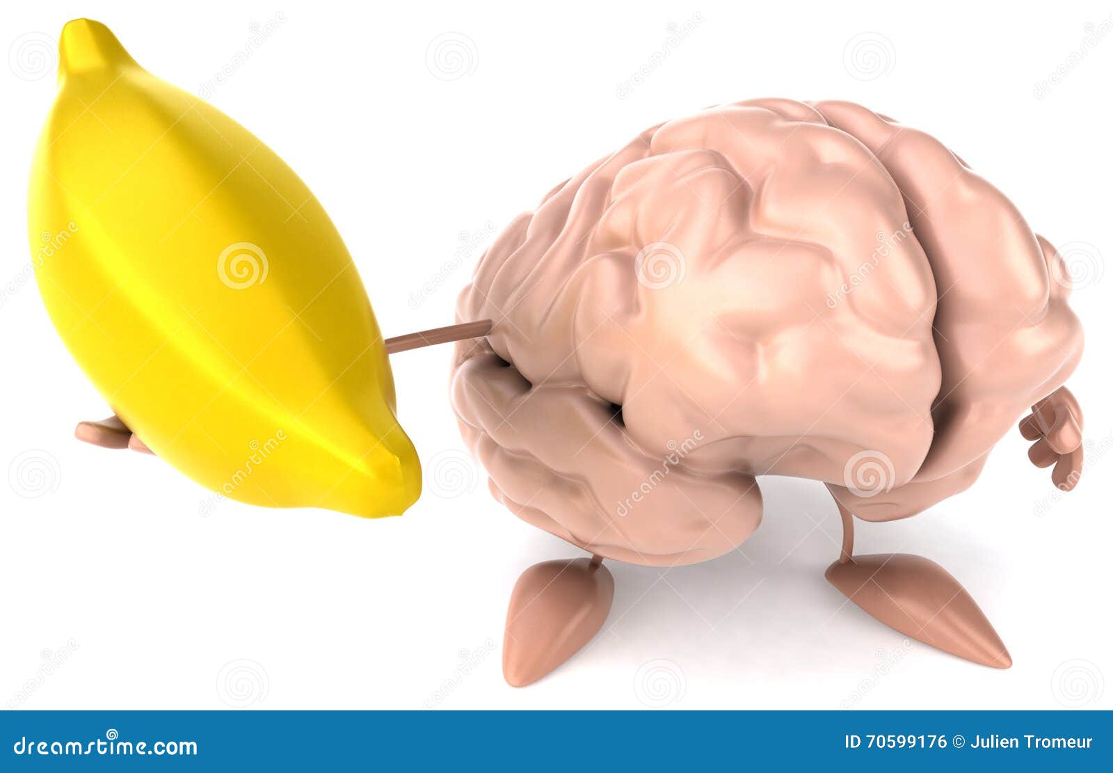 Fun brain stock illustration. Illustration of brain, imagination - 70599176