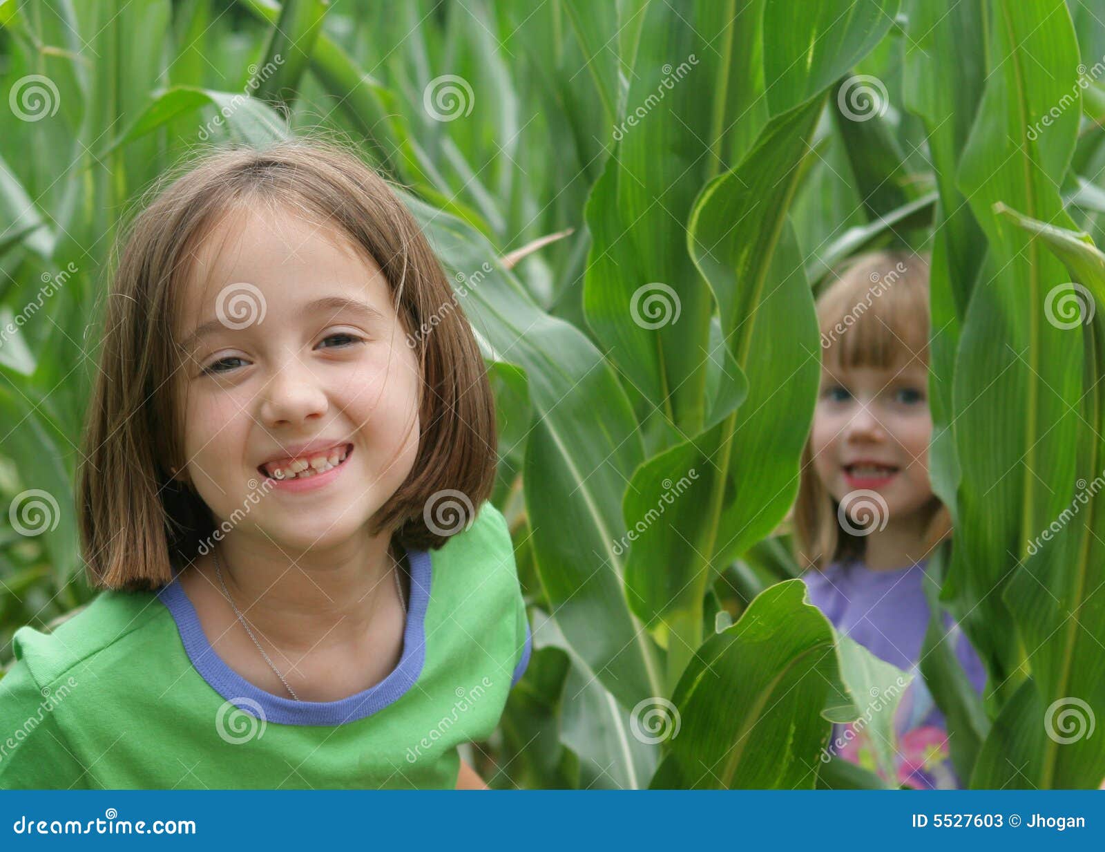 Fun in the corn field stock image. Image of farm, reap - 5527603