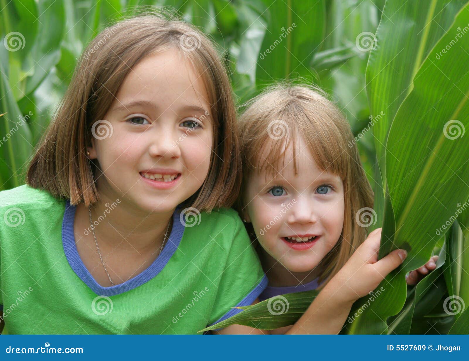 Fun In The Corn Field Picture. Image: 5527609