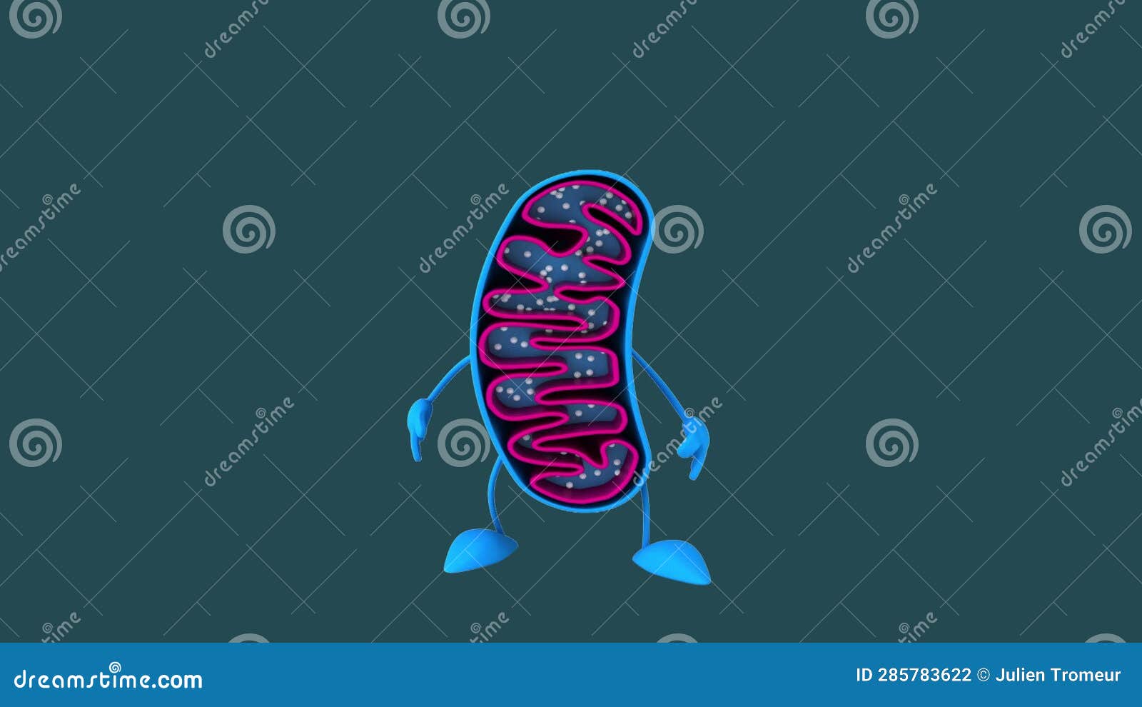 Fun 3D Cartoon Mitochondria Stock Footage - Video of oxygen, medical ...