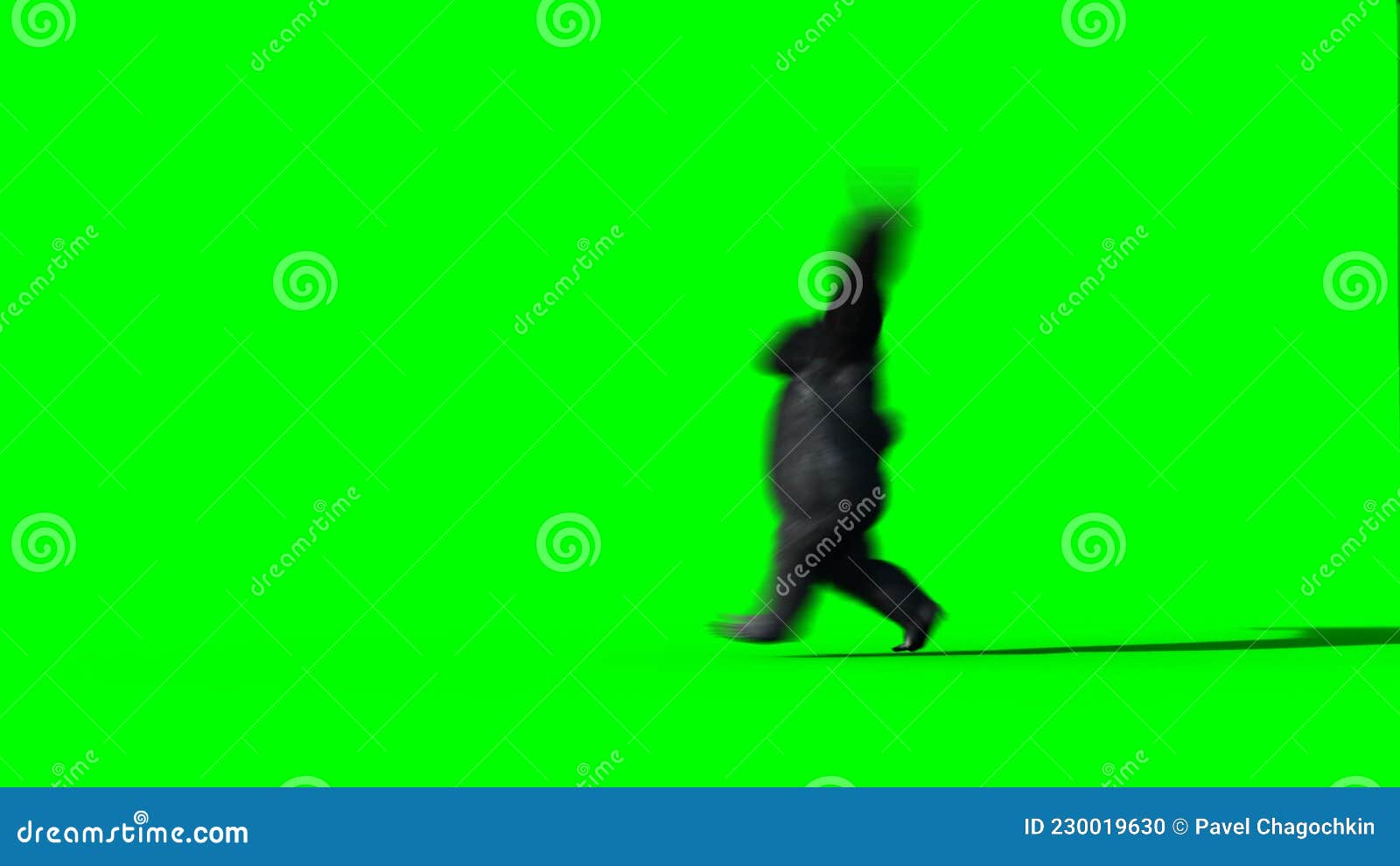 Fun Dancing Gorilla. Realistic Fur. Green Screen Animation. Stock ...