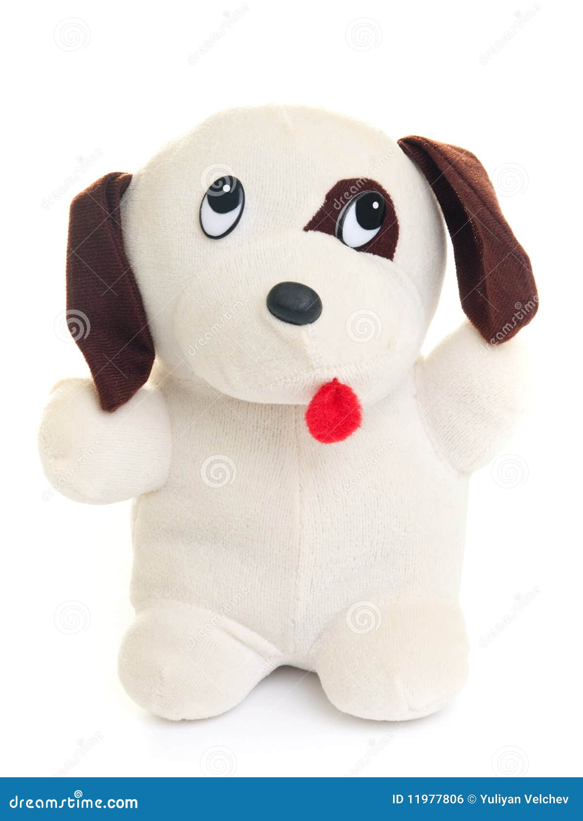 Fun dog toy stock photo. Image of sweet, kids, studio - 11977806