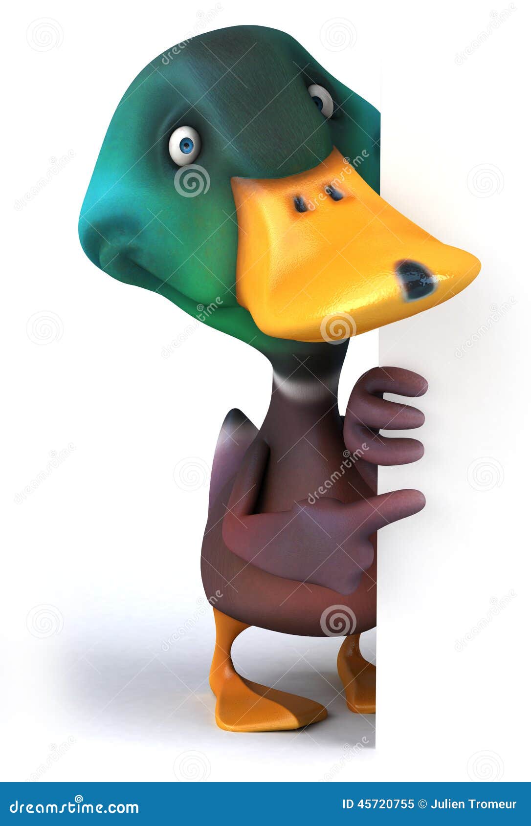 Fun duck stock illustration. Illustration of duck, wildlife - 45720755