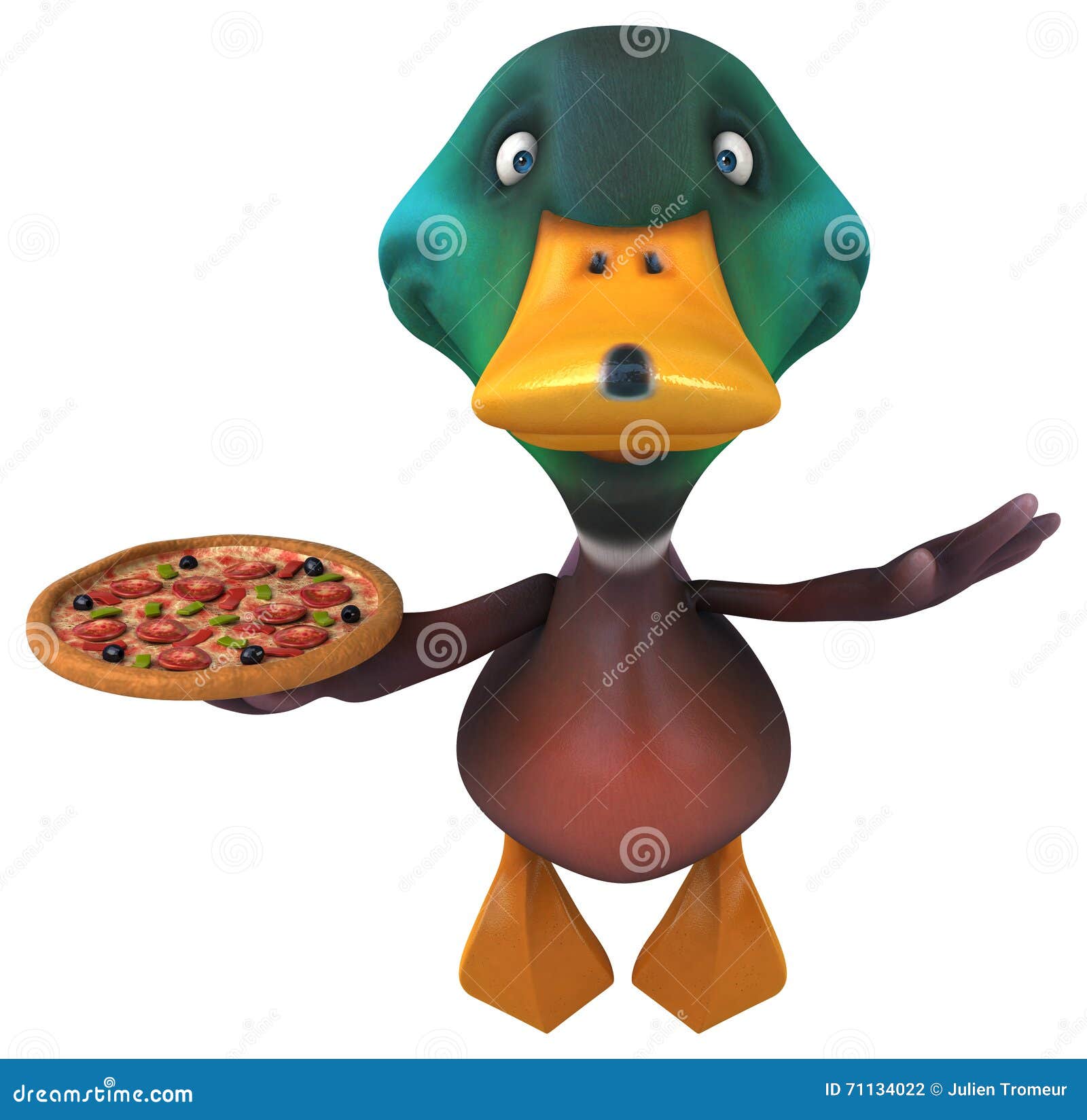 Fun duck stock illustration. Illustration of nature, waterbird - 71134022